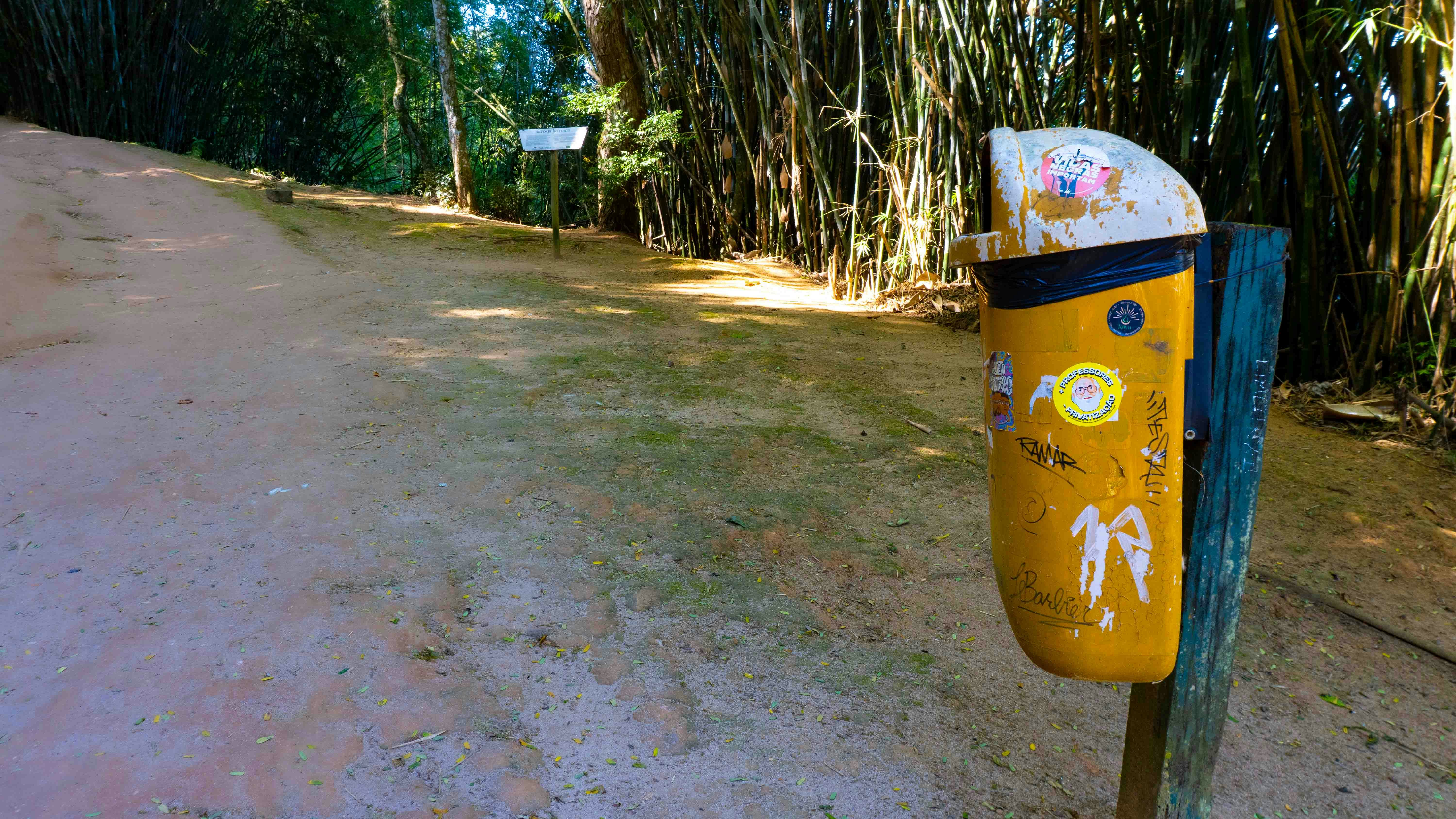 Yellow Mailbox in a Quiet Forest Path