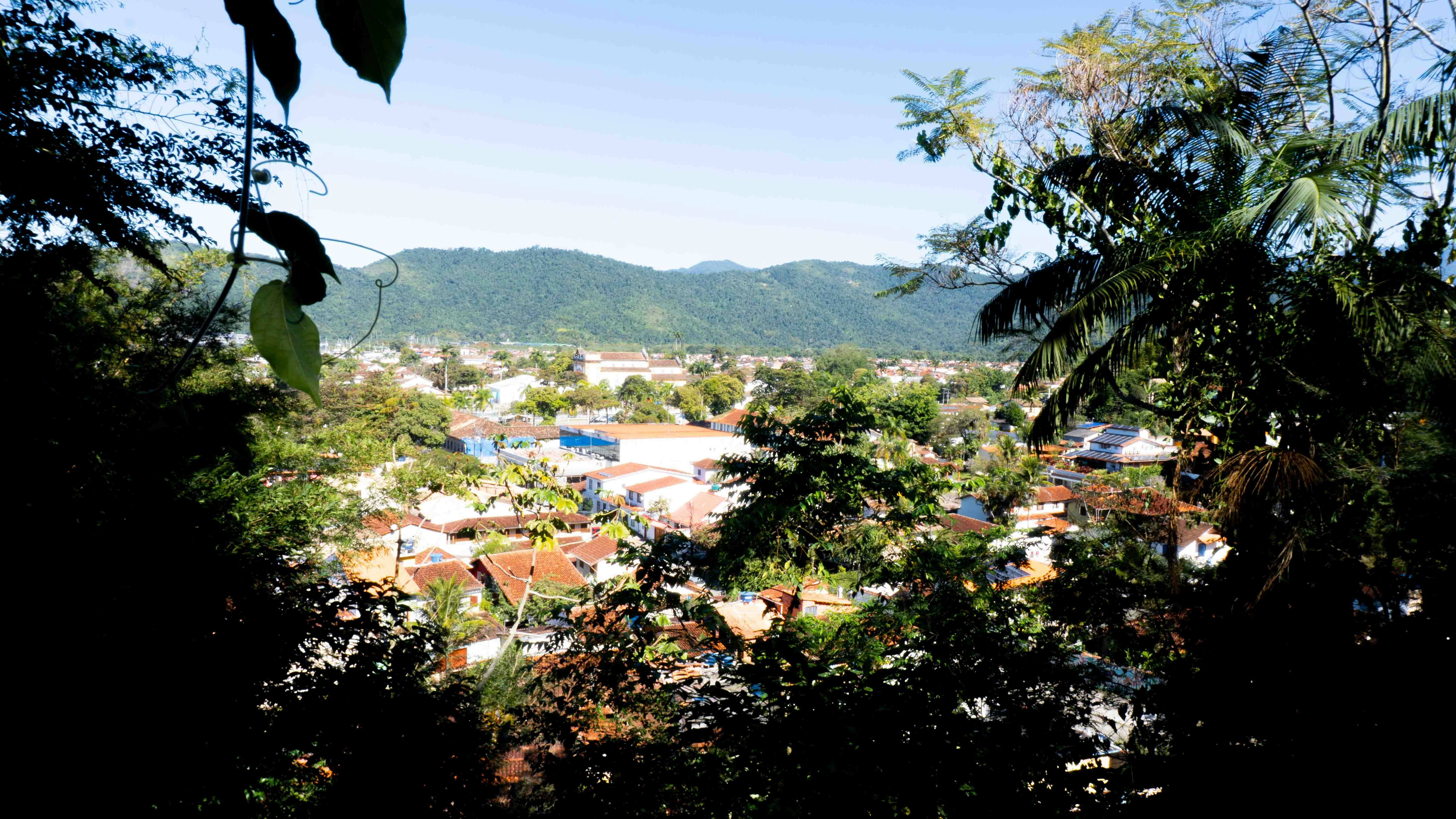 Horizon over a Forested Town