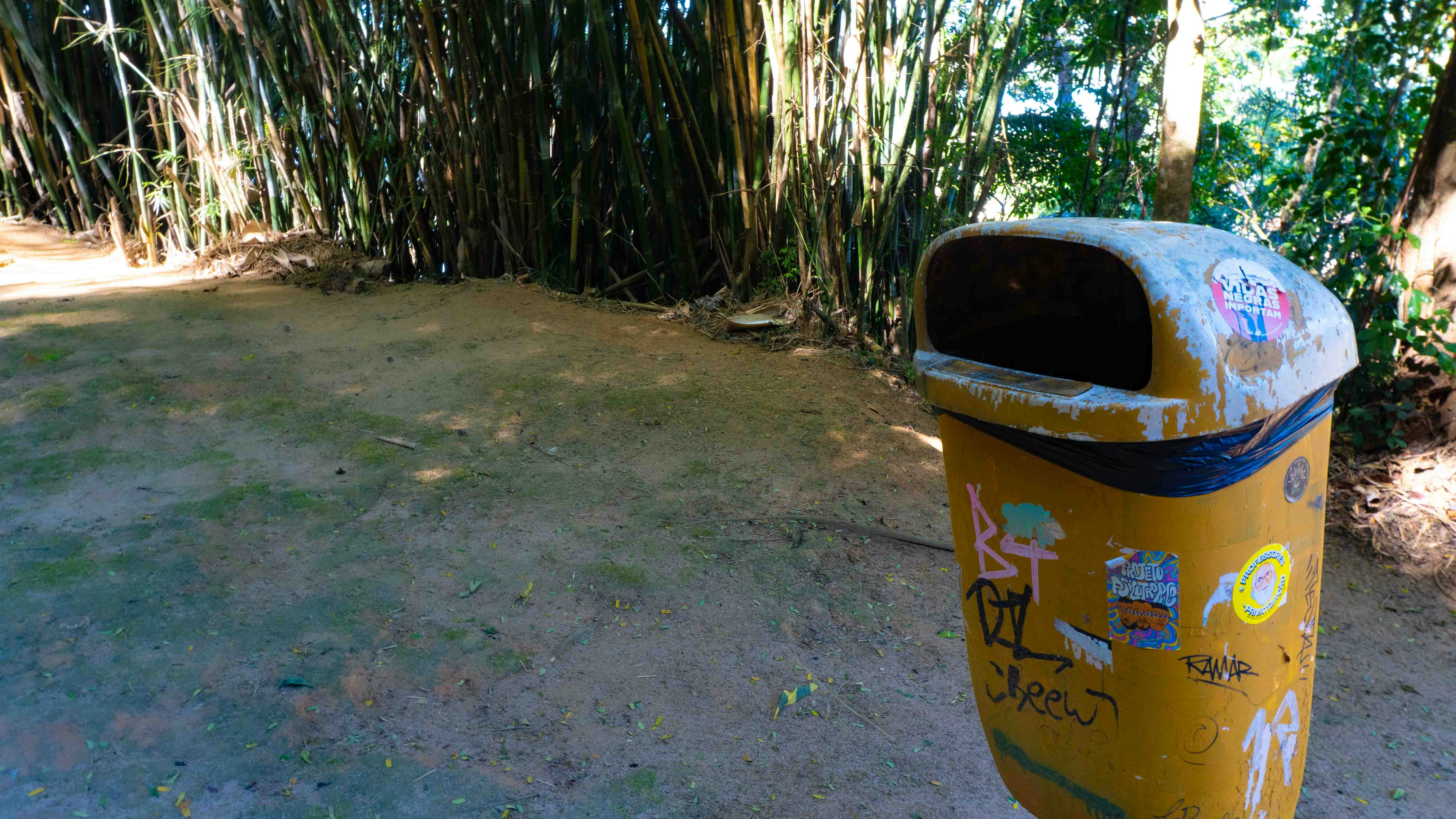 Urban Dais: A Weathered Yellow Mailbox in a Quiet Bamboo Alley