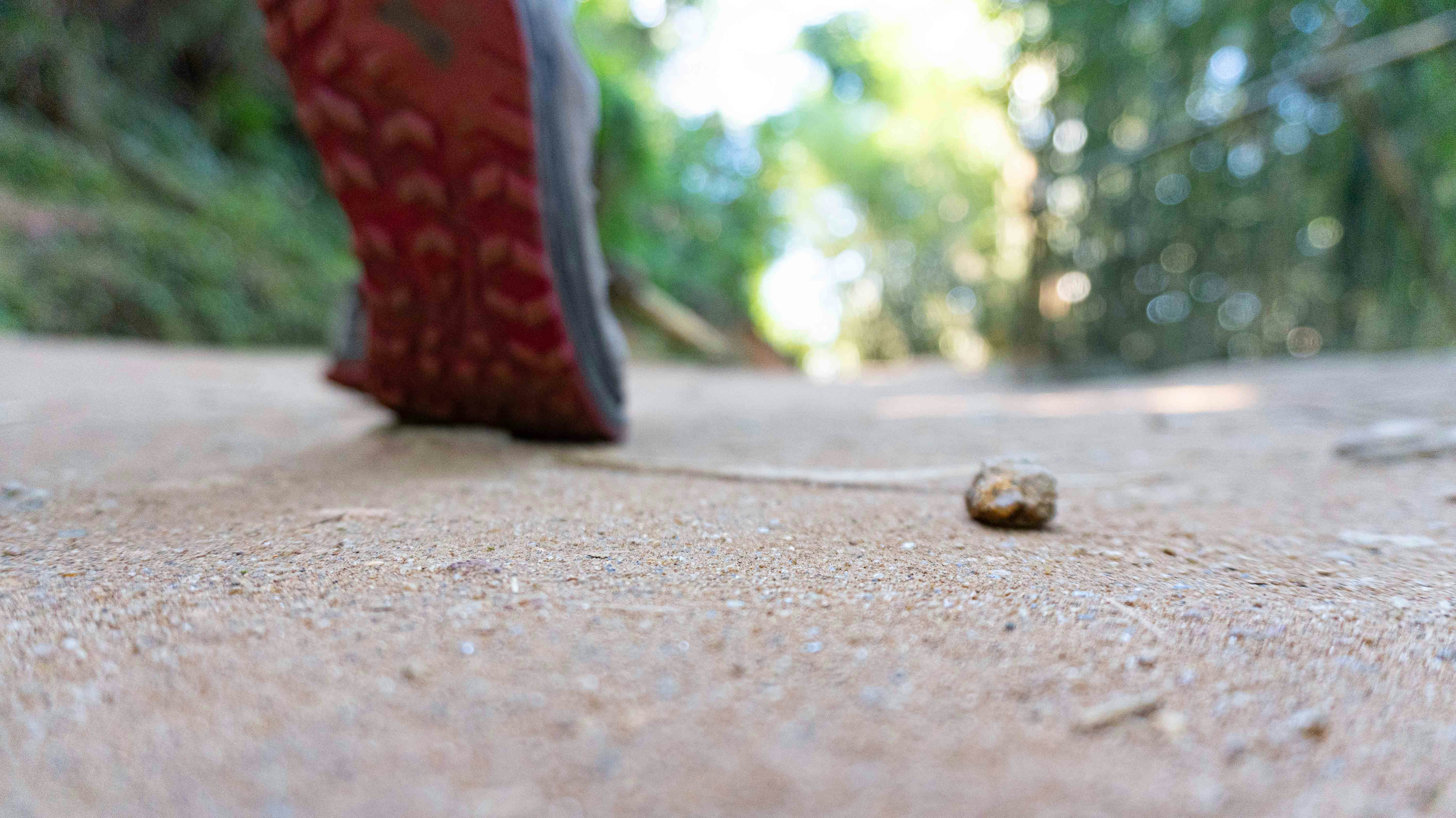 Trail Footsteps: A lone pebble in the path ahead