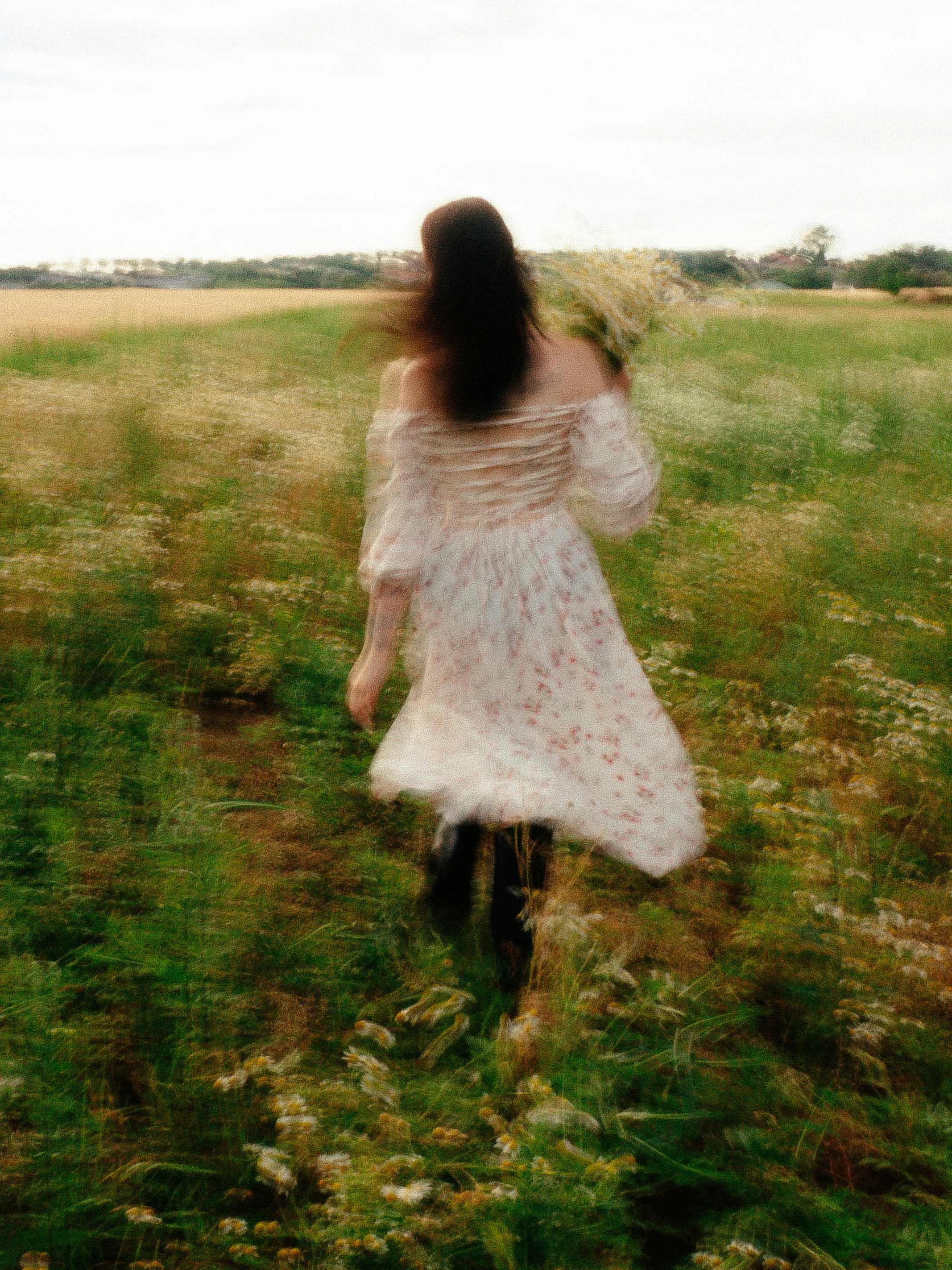 Whispering Field: A Blurred Walk Through Drowsy Daisies