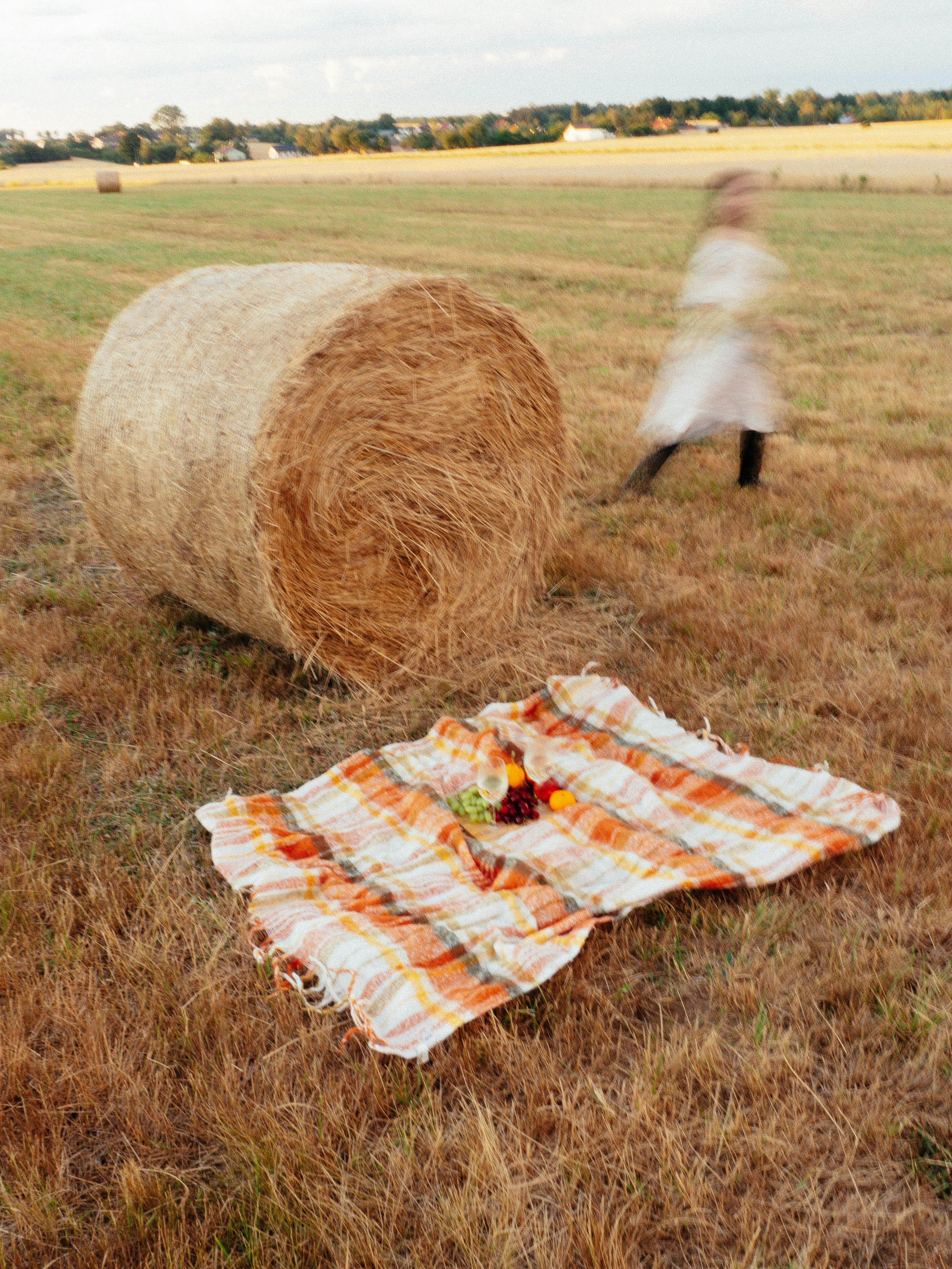 Hay Bale Picnic on a Golden Field