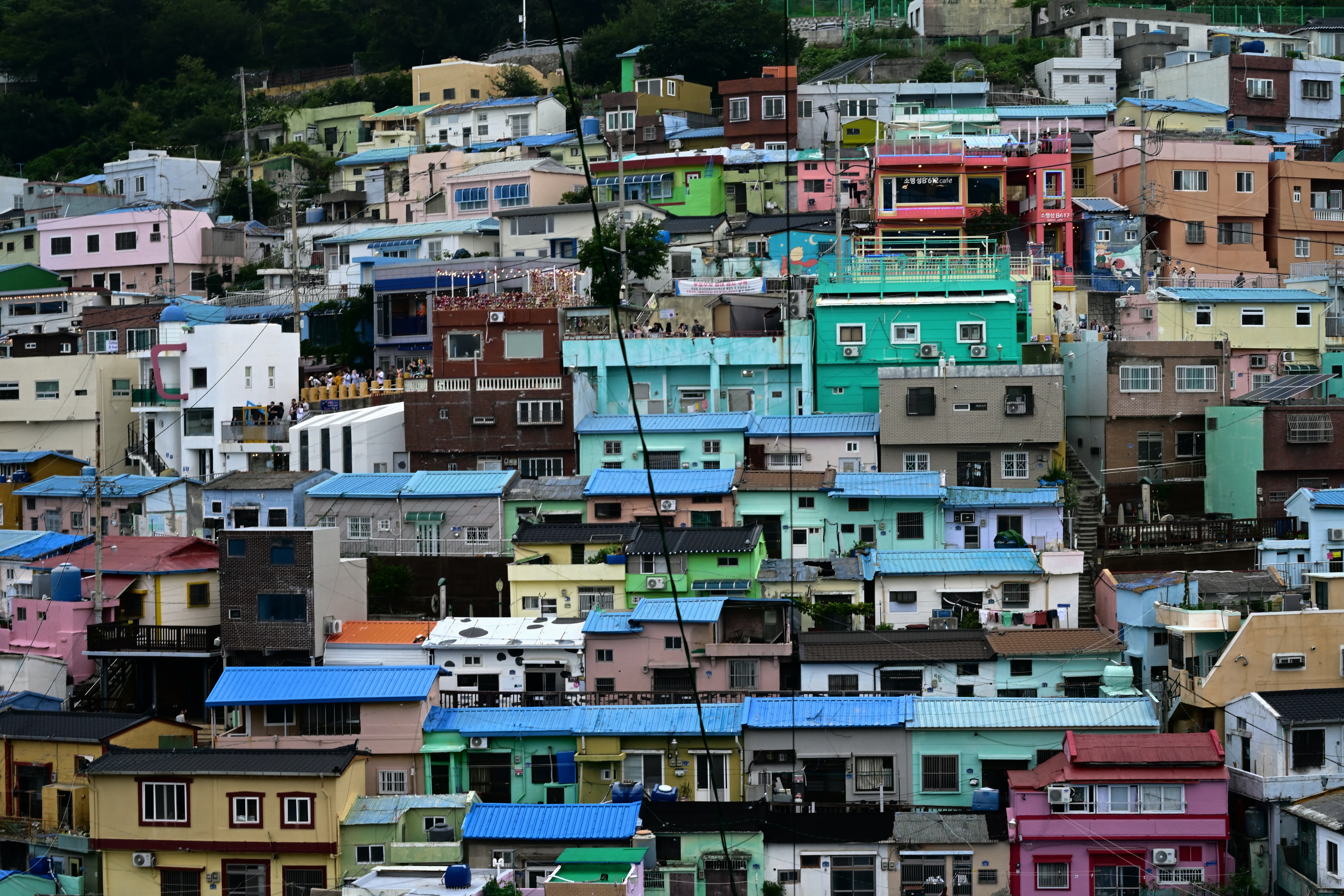 Patchwork City: A dense hillside of pastel houses stacked in a vibrant canyon