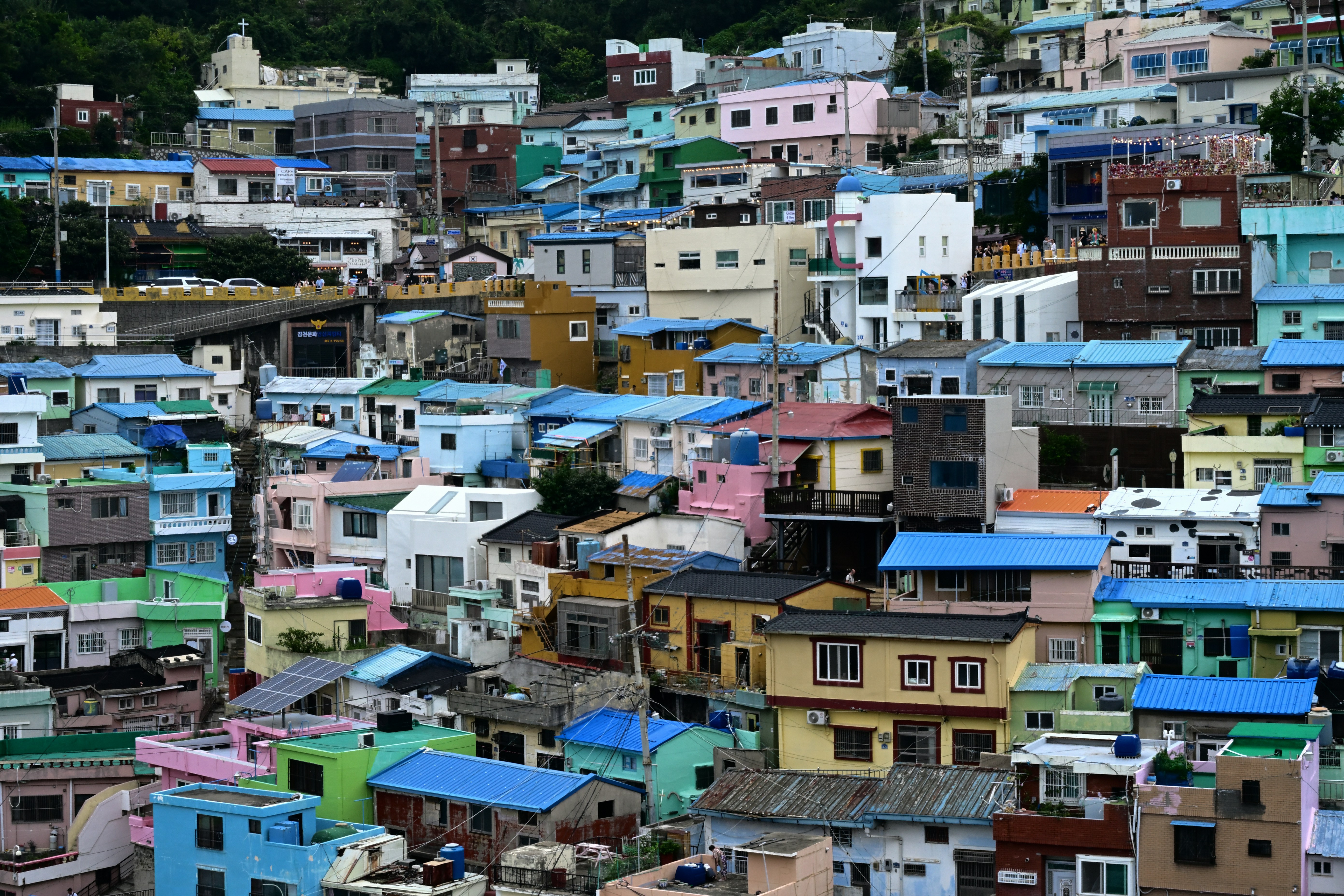 Cascade of Color: A Densely Packed Hill of Painted Homes