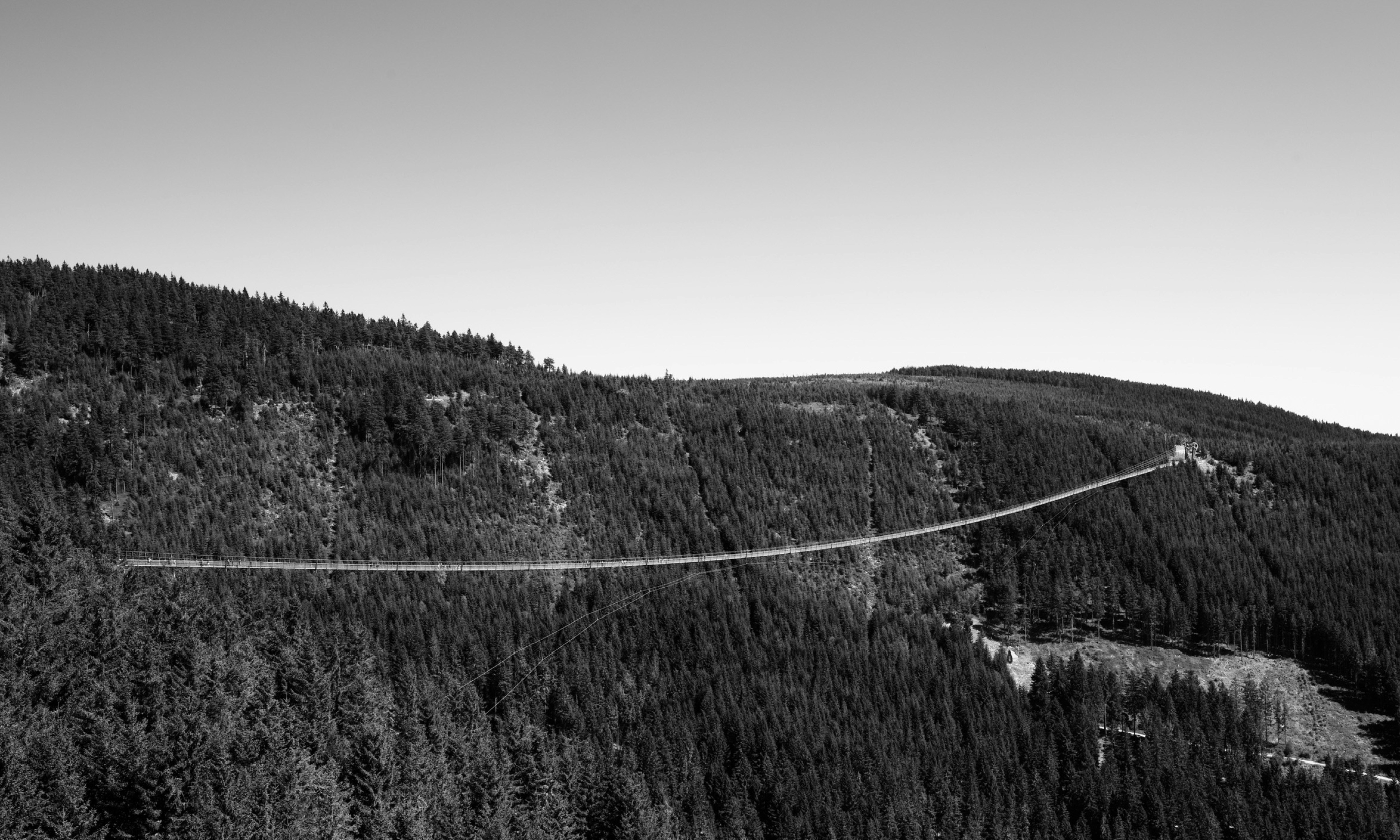 Aerial Snowline: The Long Curve Across a Silent Forest
