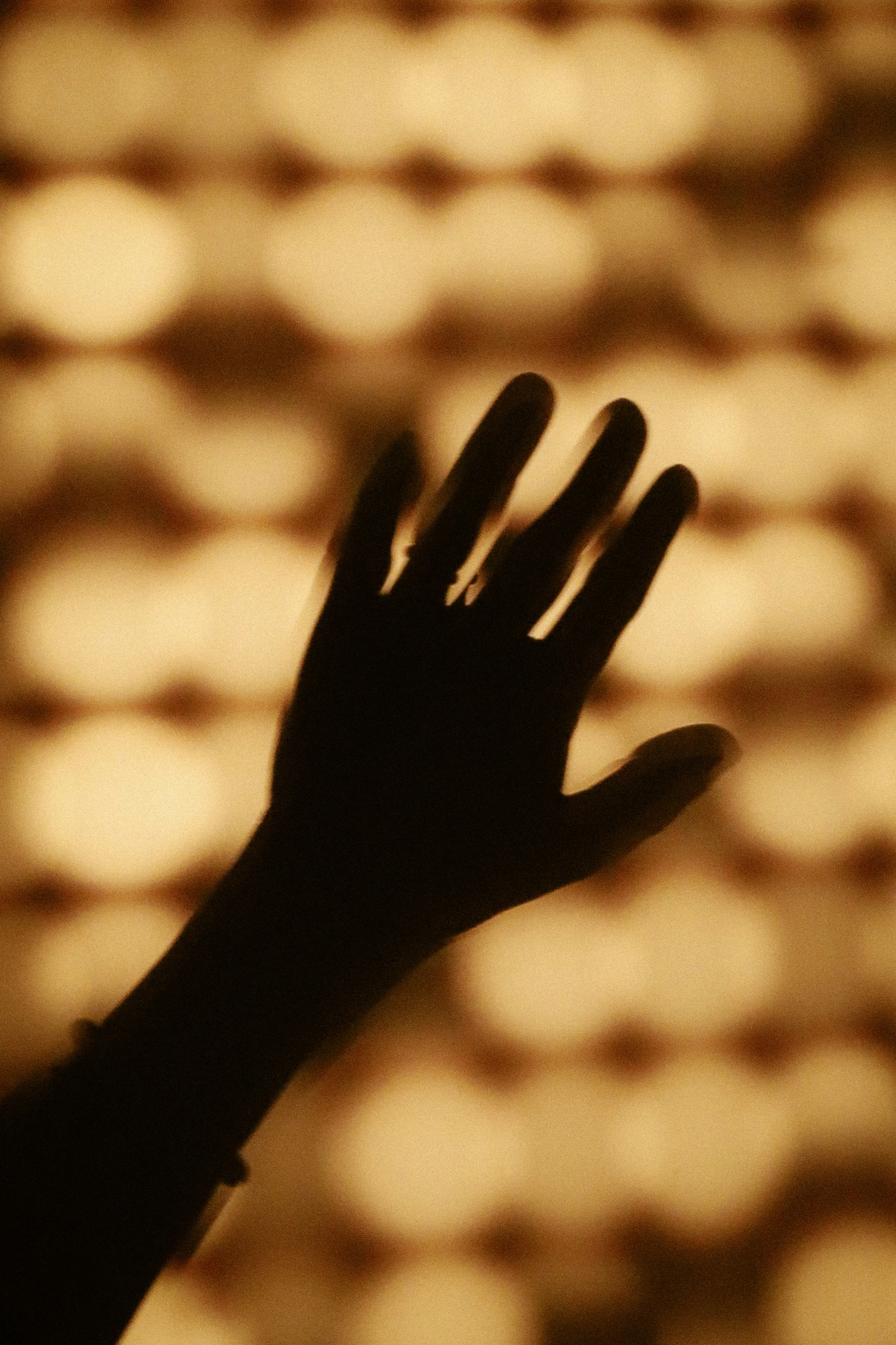 Shadowed Hand Against a Backlit Beaded Curtain