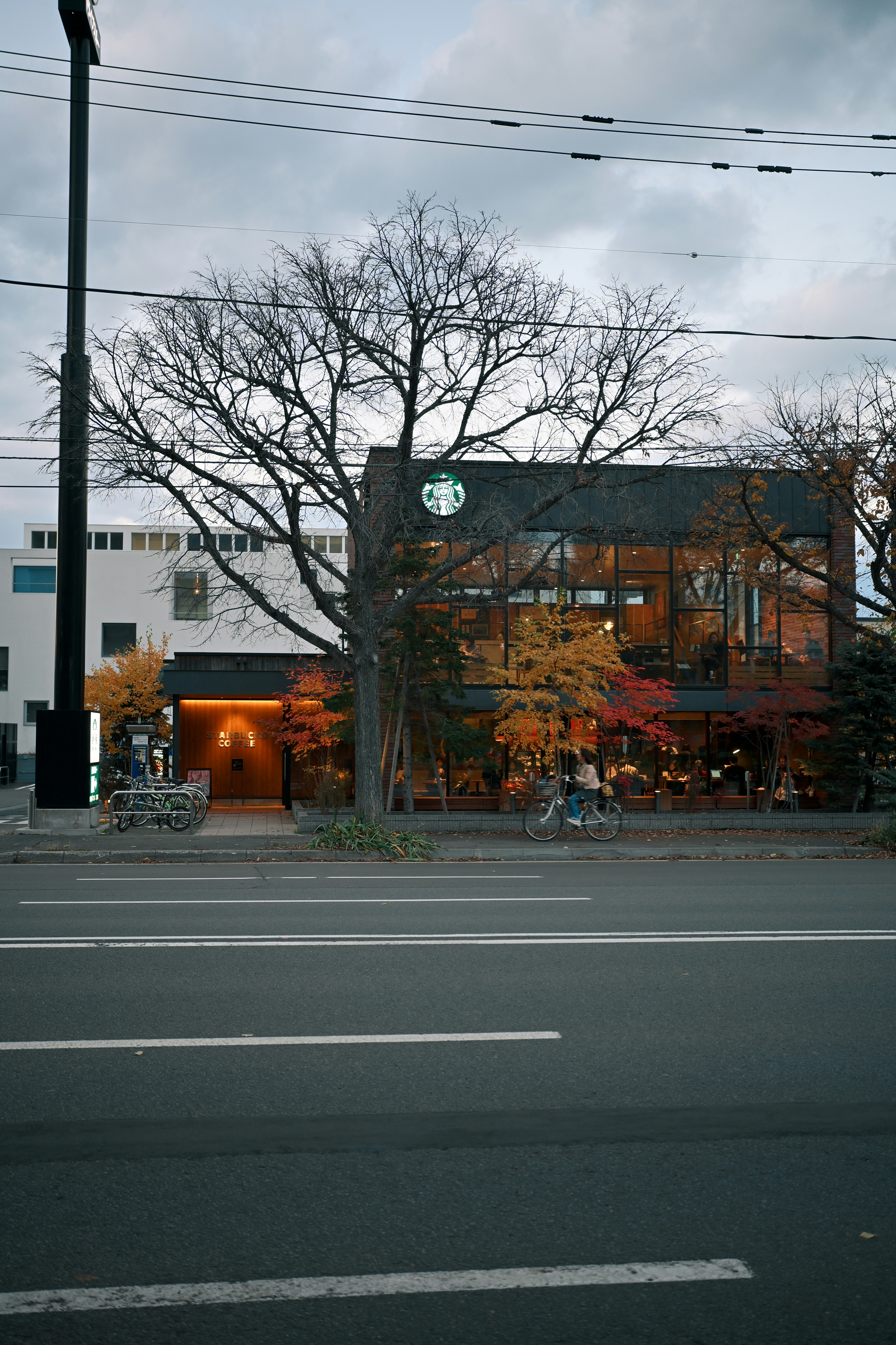 Autumn Streetfront at Dusk: Café, Bicycles, and Leaf-kissed Trees