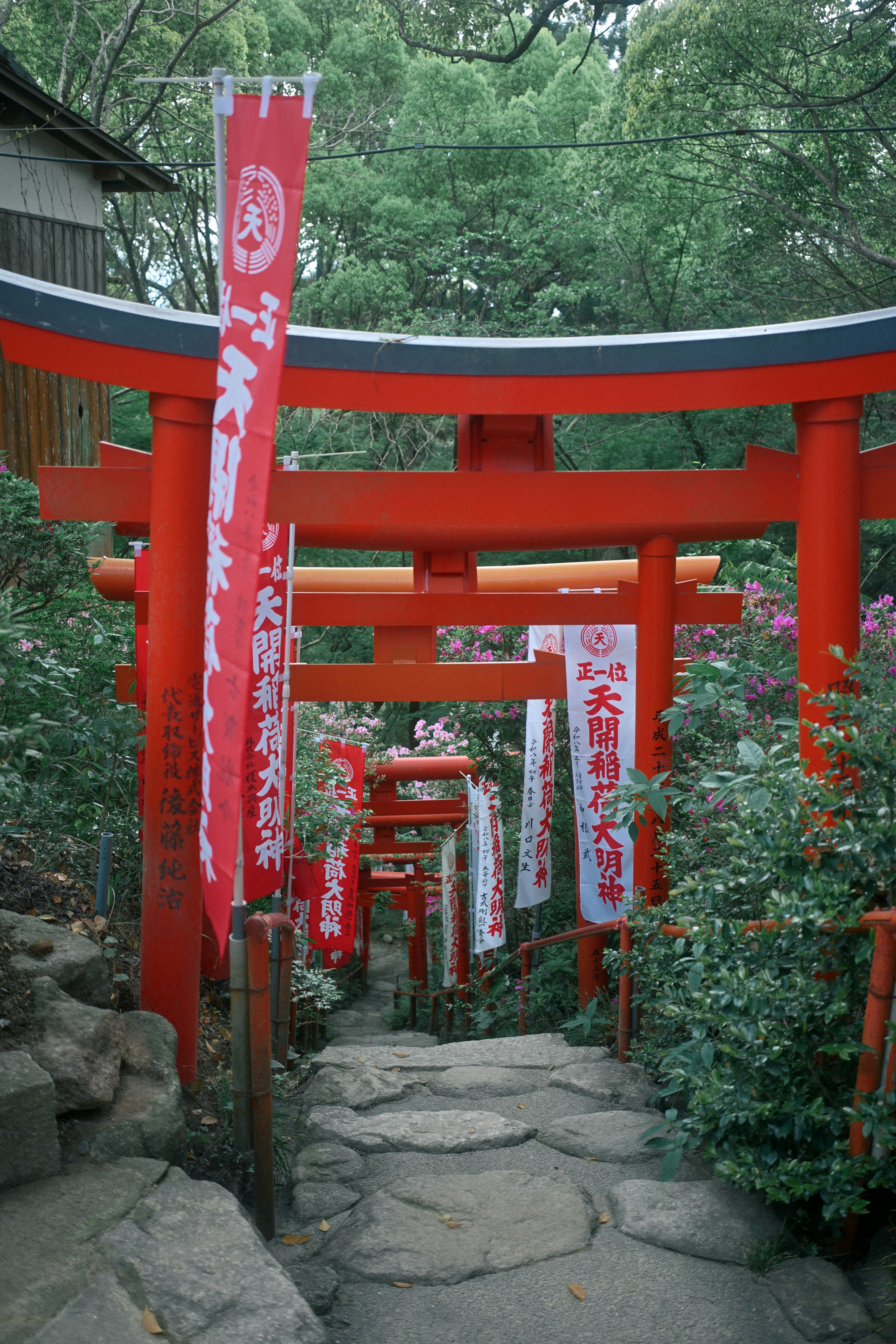 Red Torii Corridor: A Path Through Sacred Gates