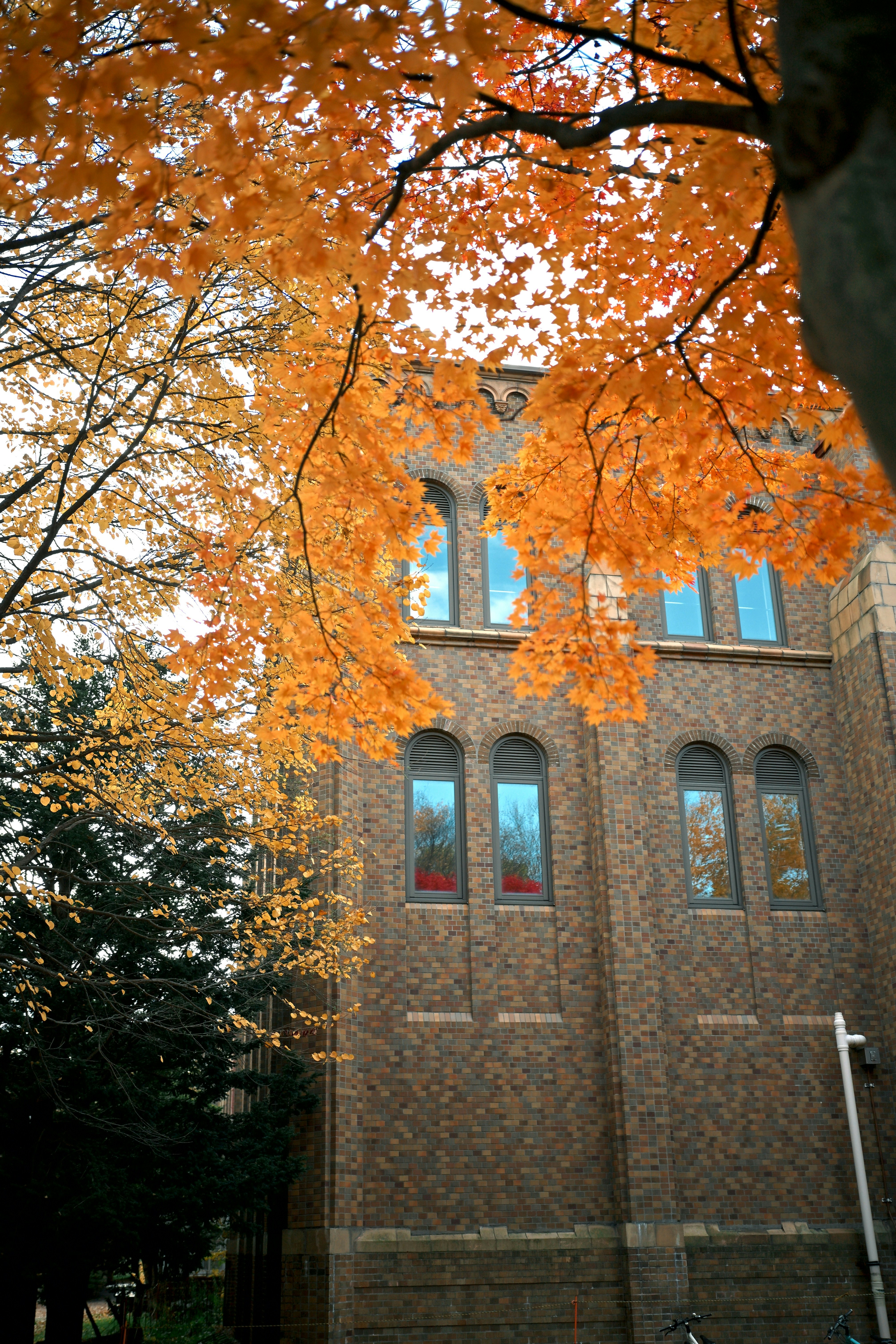 Autumn Cathedral: Brick Facade Framed by Orange Canopy
