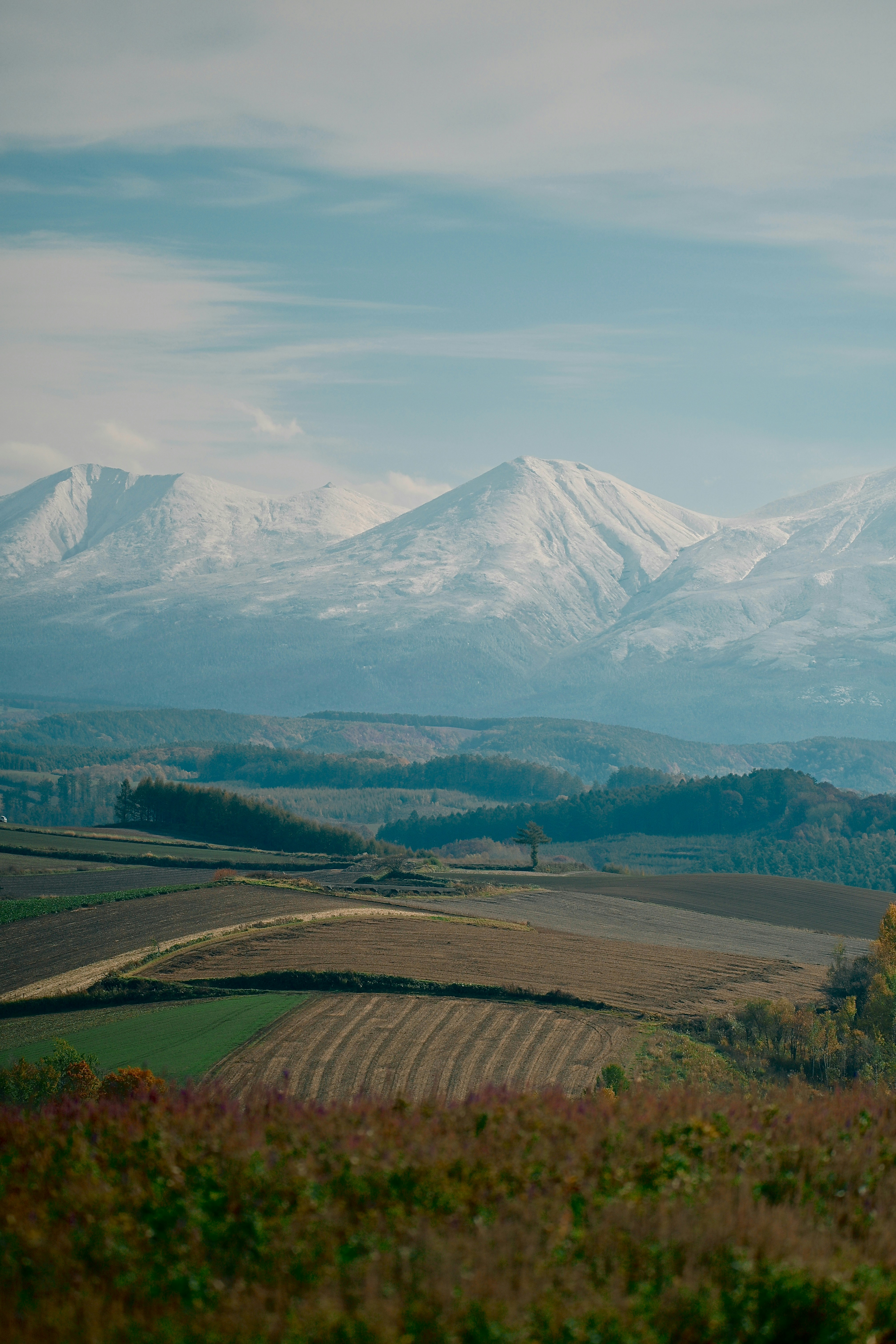 Snow-kissed Peaks Over Plush Valley Fields
