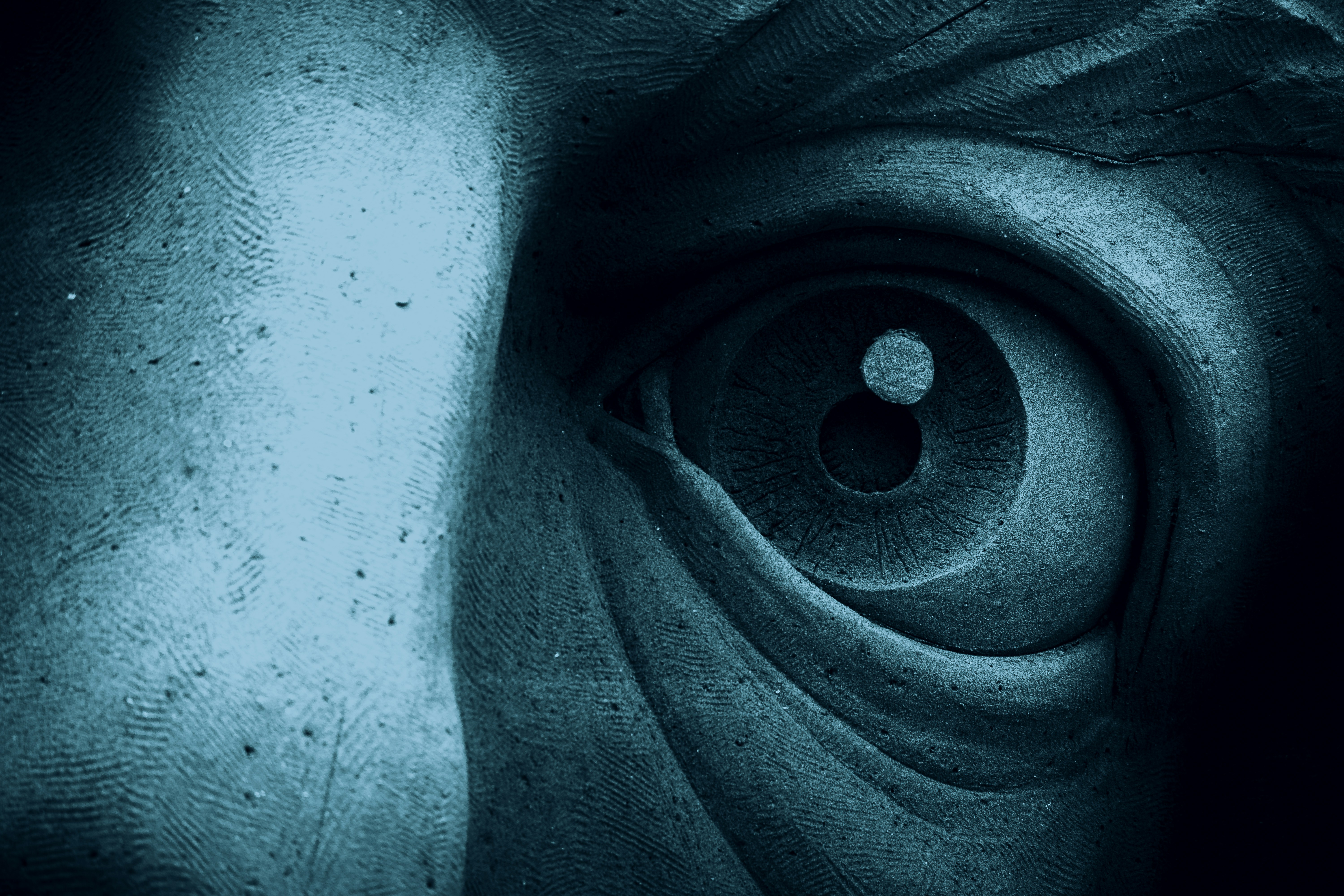 The Eye in Focus: A Close-Up of Fearful Detail