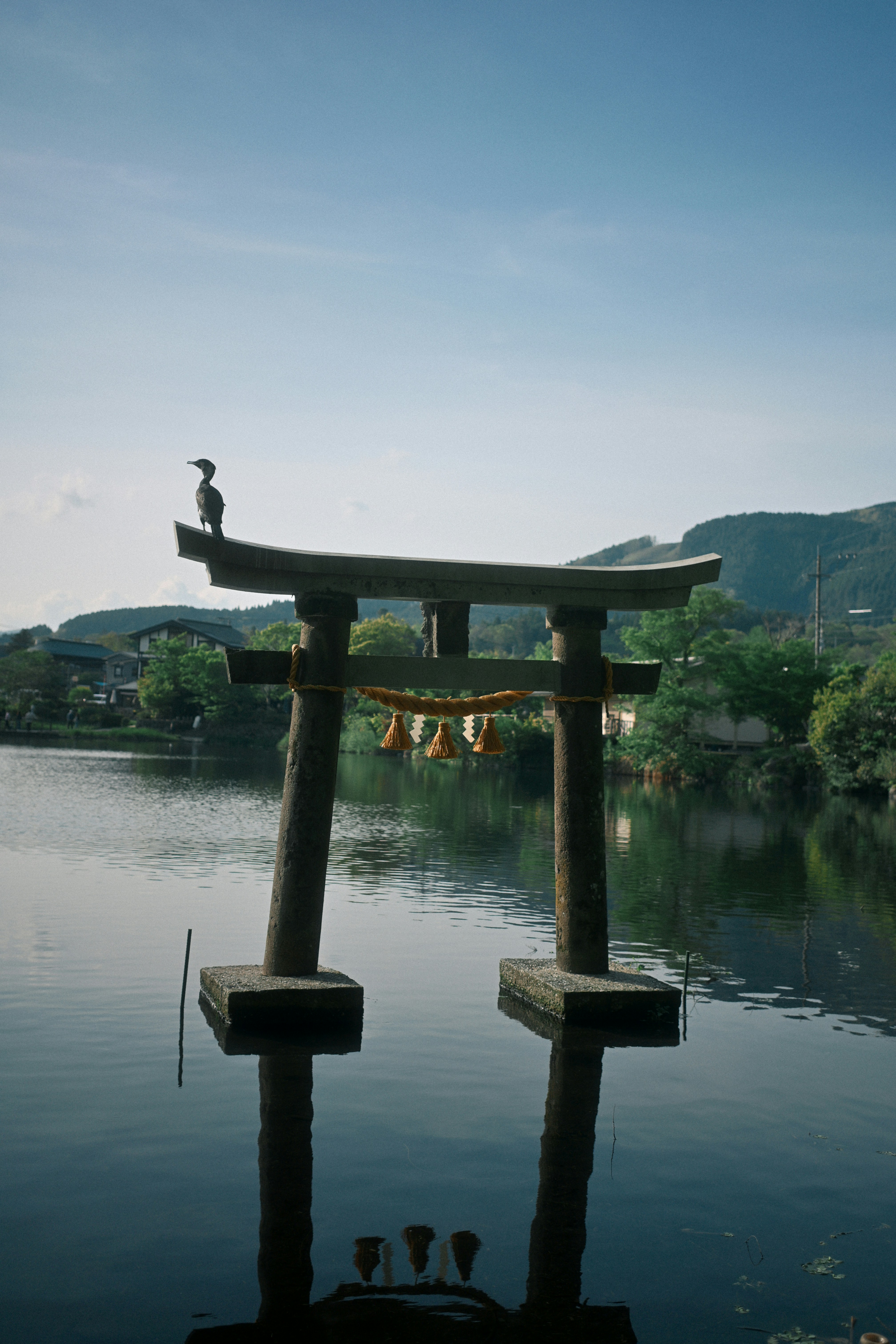Torii Keeper: A Watchful Heron on the Shrine's Pier