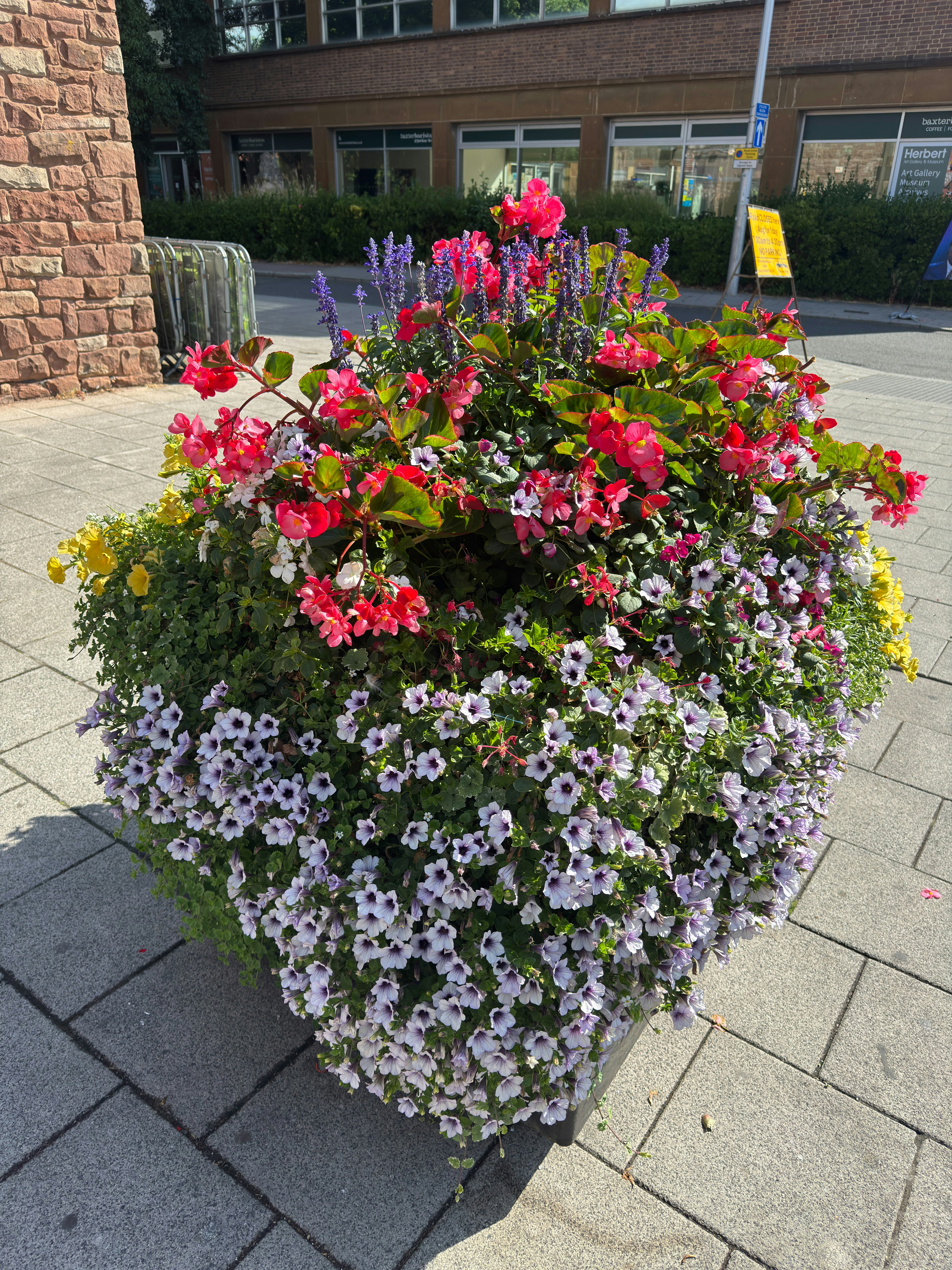 A large planter overflowing with pink, purple, and yellow flowers on a paved sidewalk.