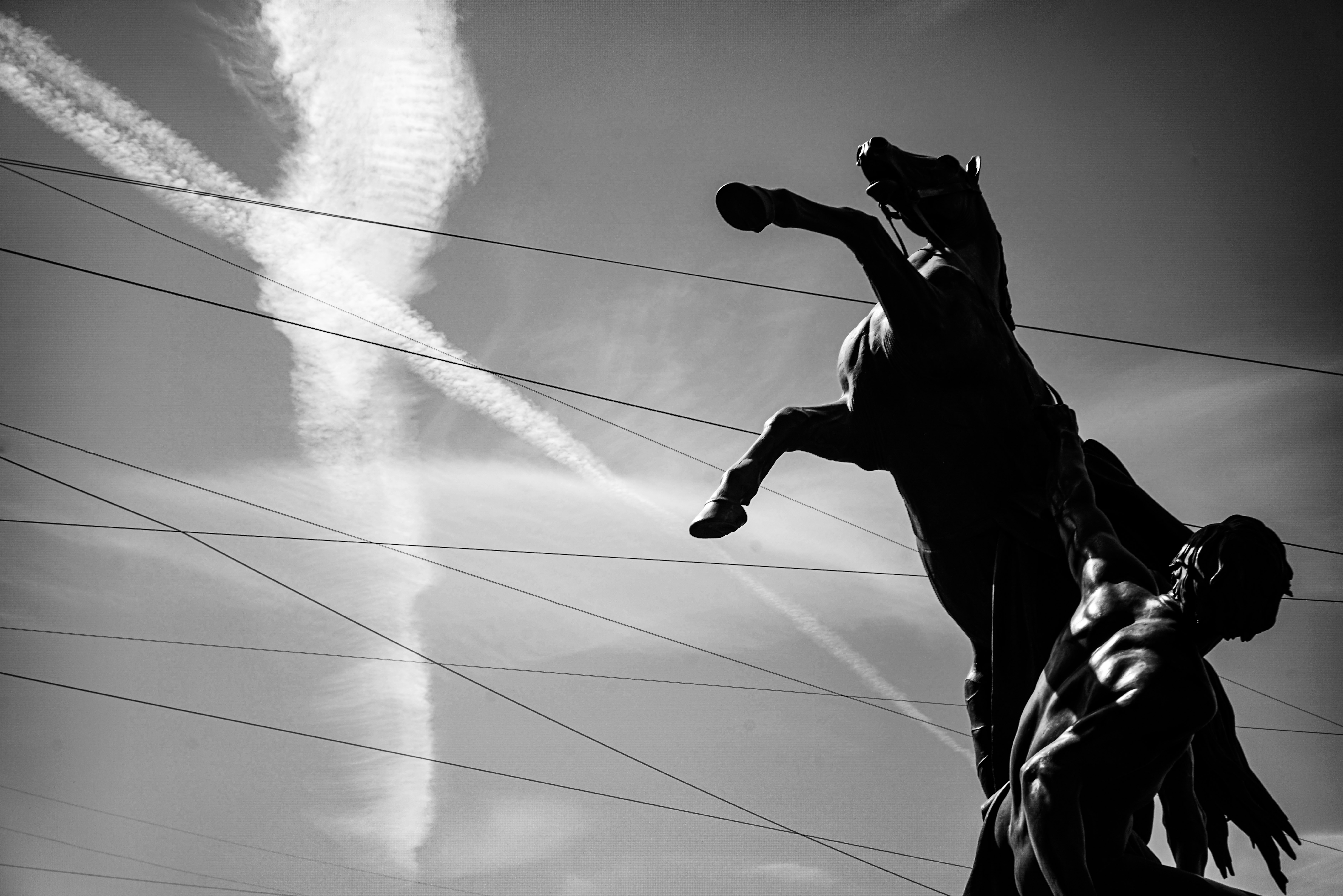 Aerial Silhouette: Power in Motion Against Woven Skies