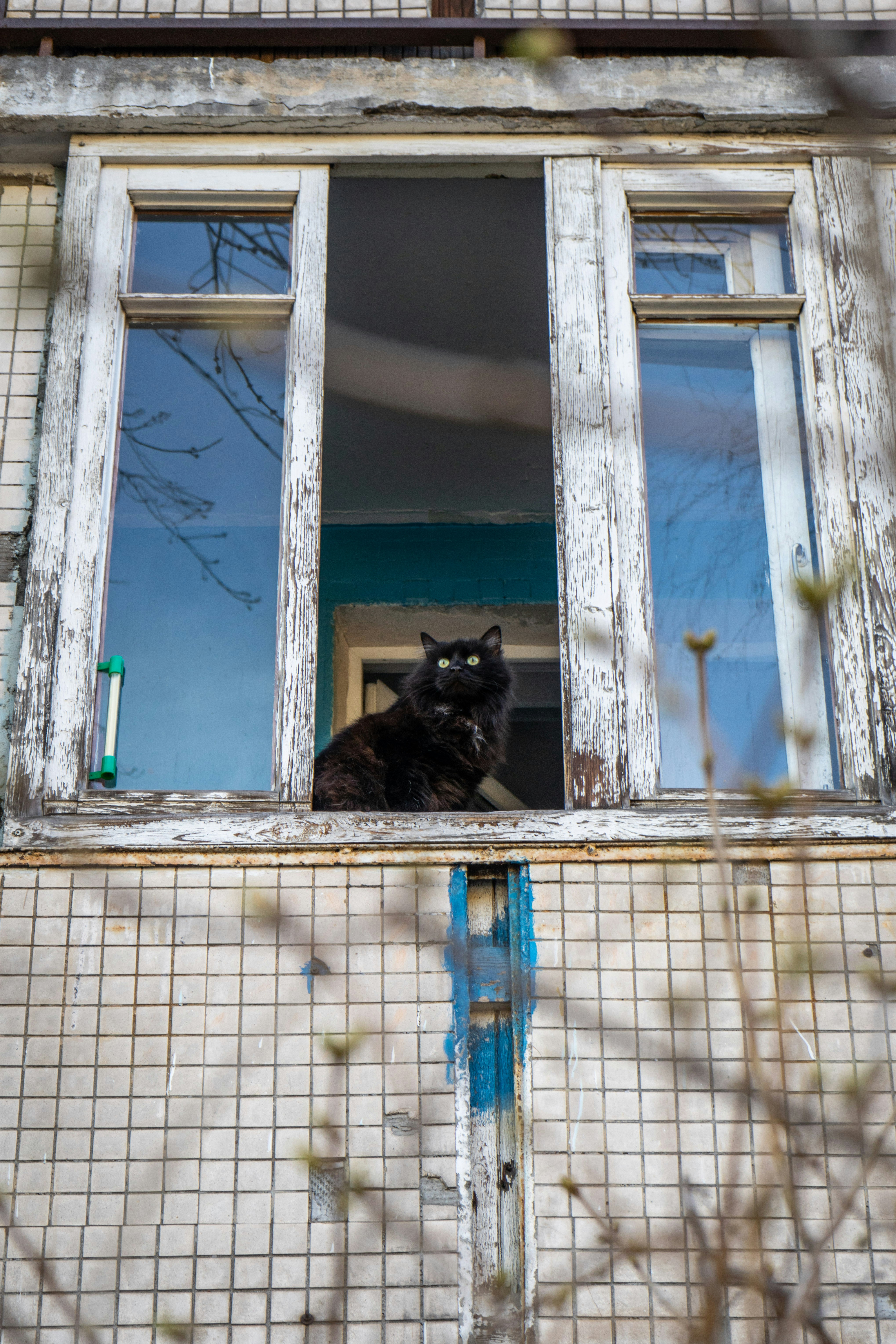 Black Cat on a Weathered Windowsill