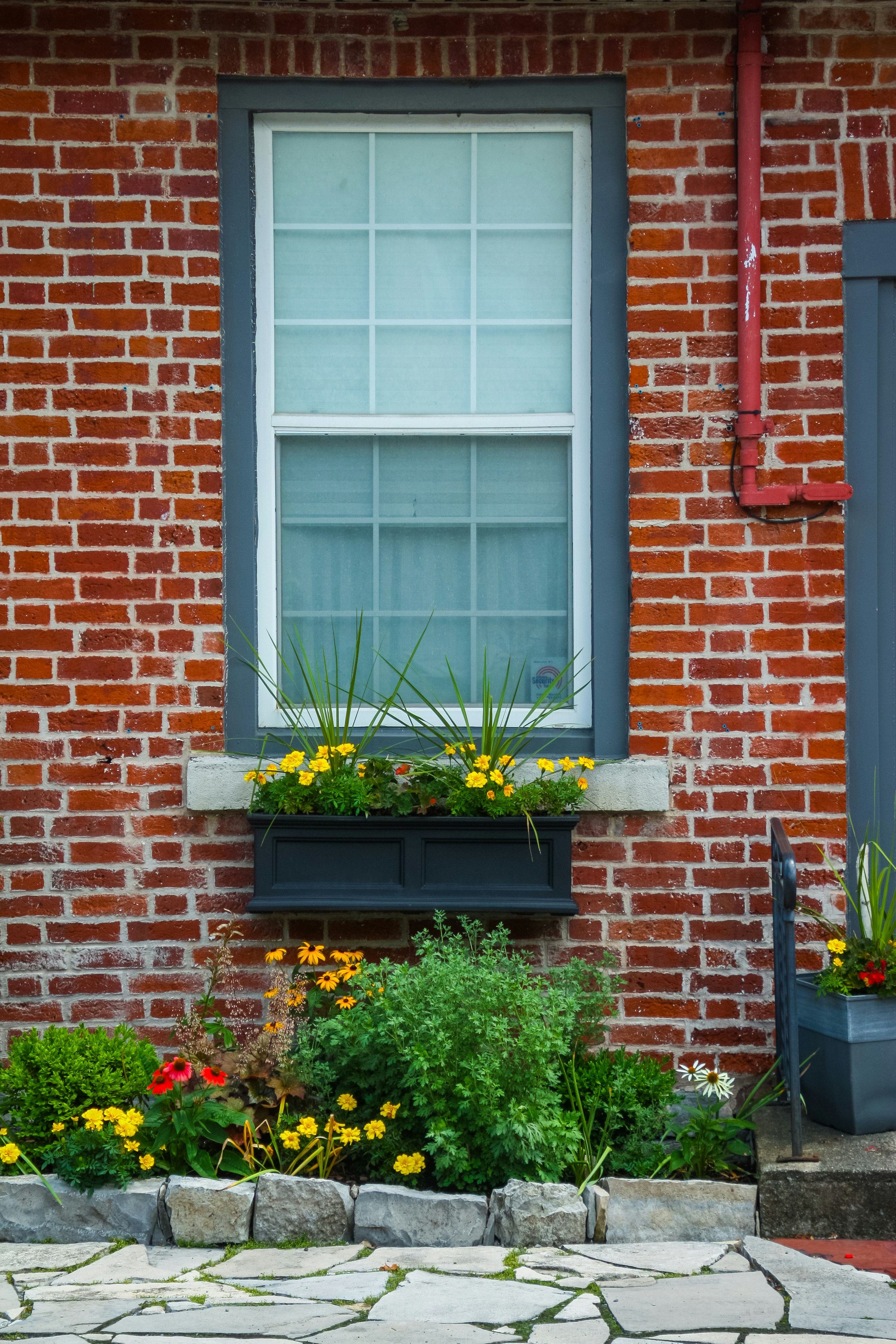 Window Box of Colorful Life on a Brick Vertical
