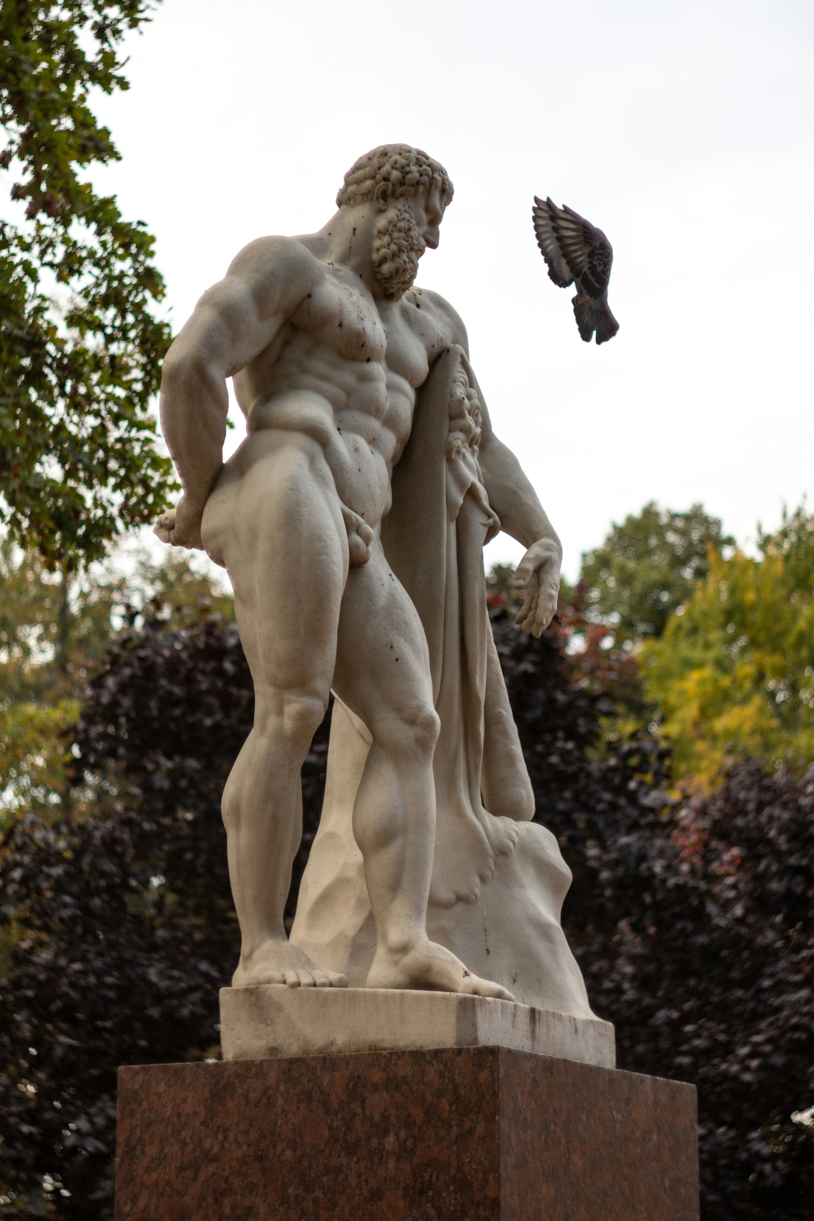 Statuesque Duo: A Classical Pair Anchoring the Park