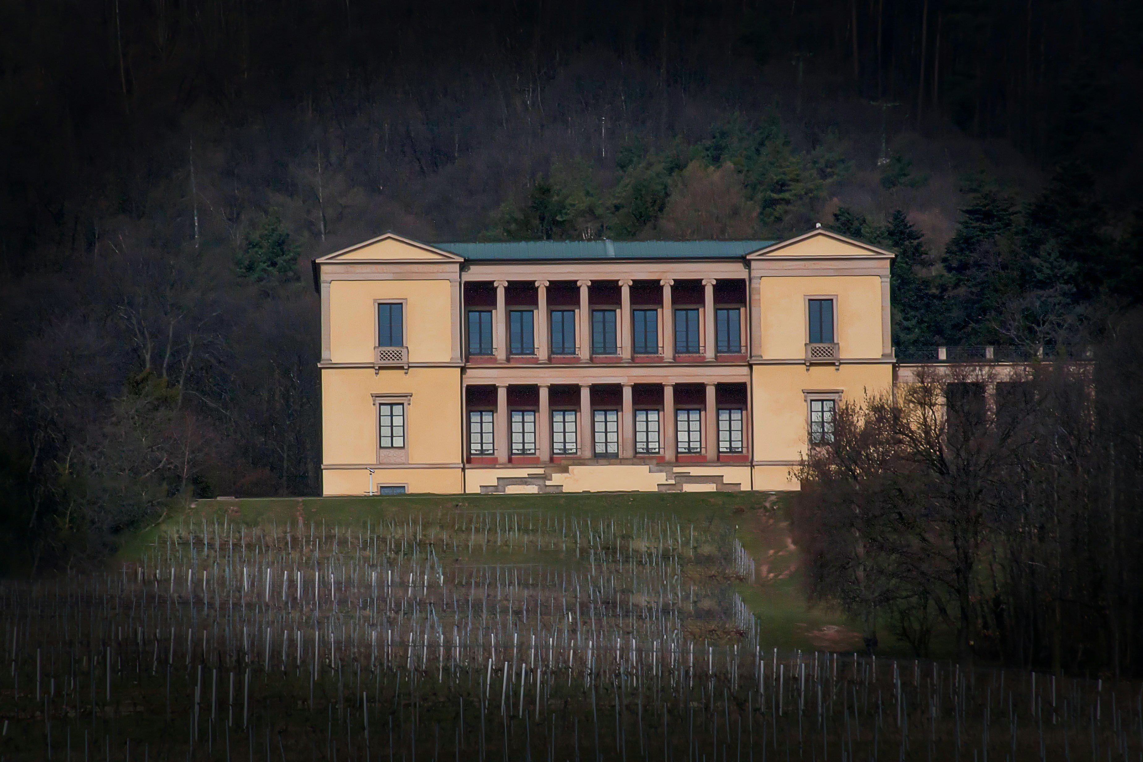 Beige neoclassical villa perched on a gentle hill, framed by leafless trees and a vineyard foreground, bathed in soft daylight.