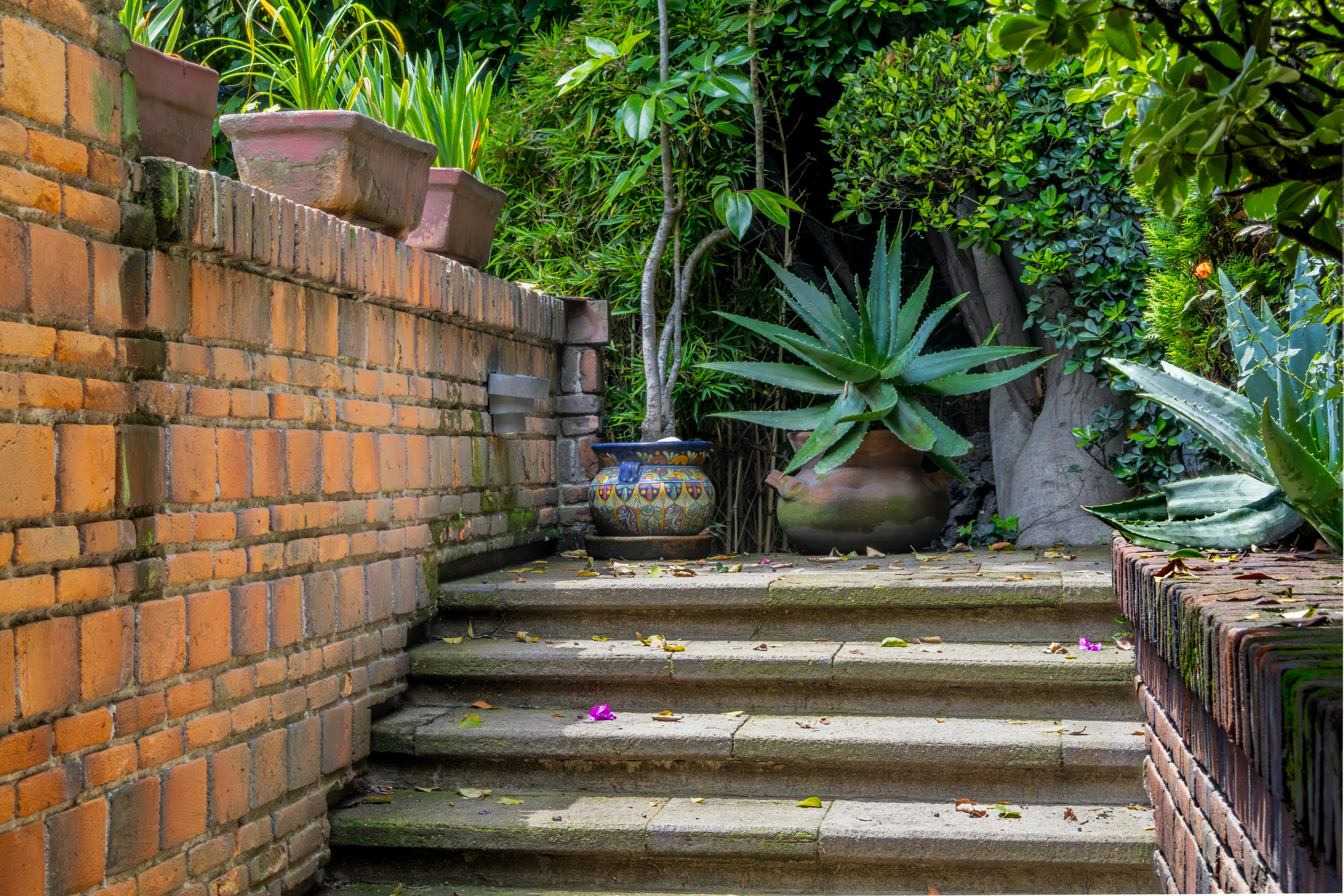 Clay stairway through a lush terraced garden