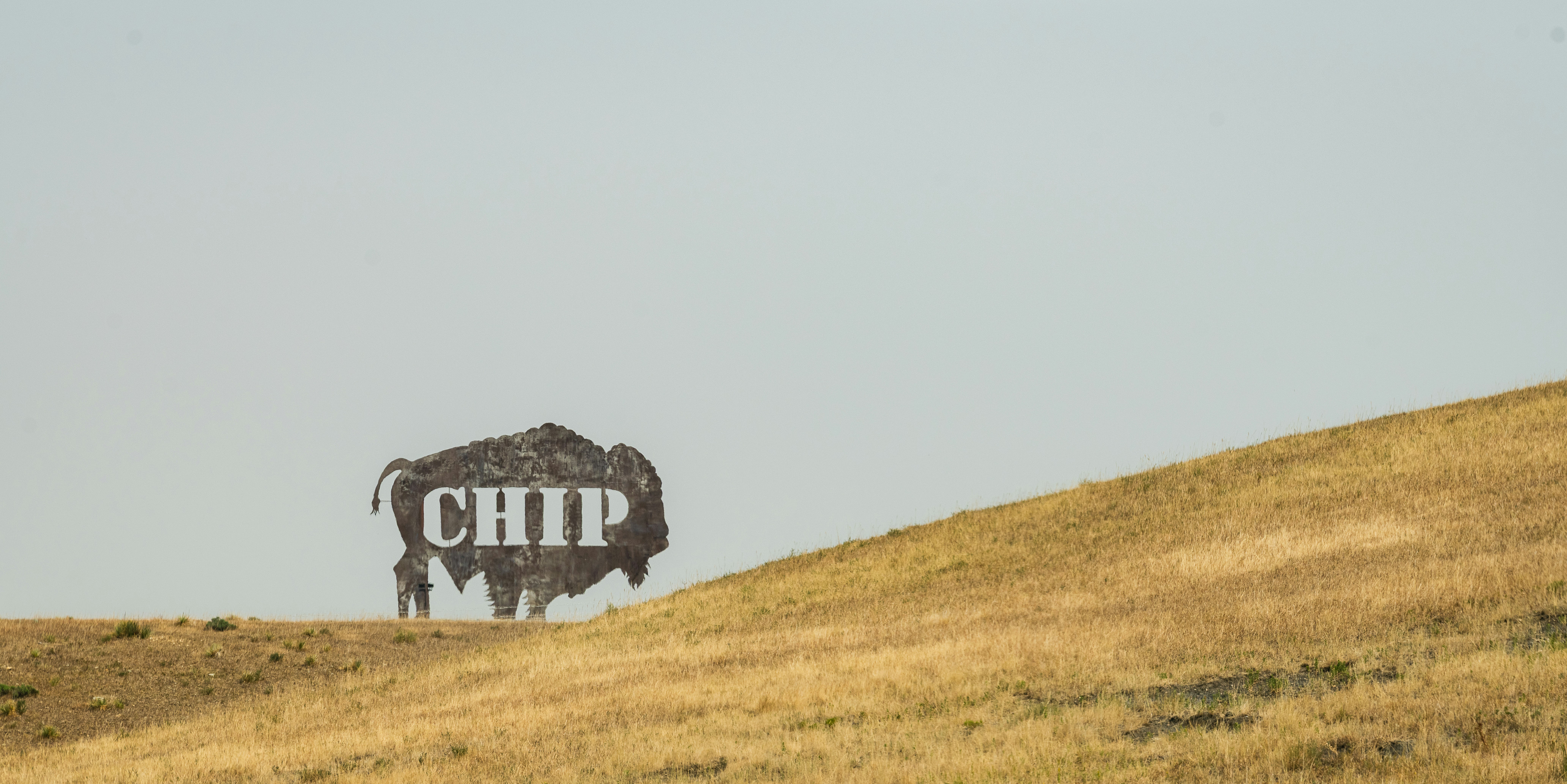 Chip in the Hills: A Lone Silhouette Against Quiet Terrain