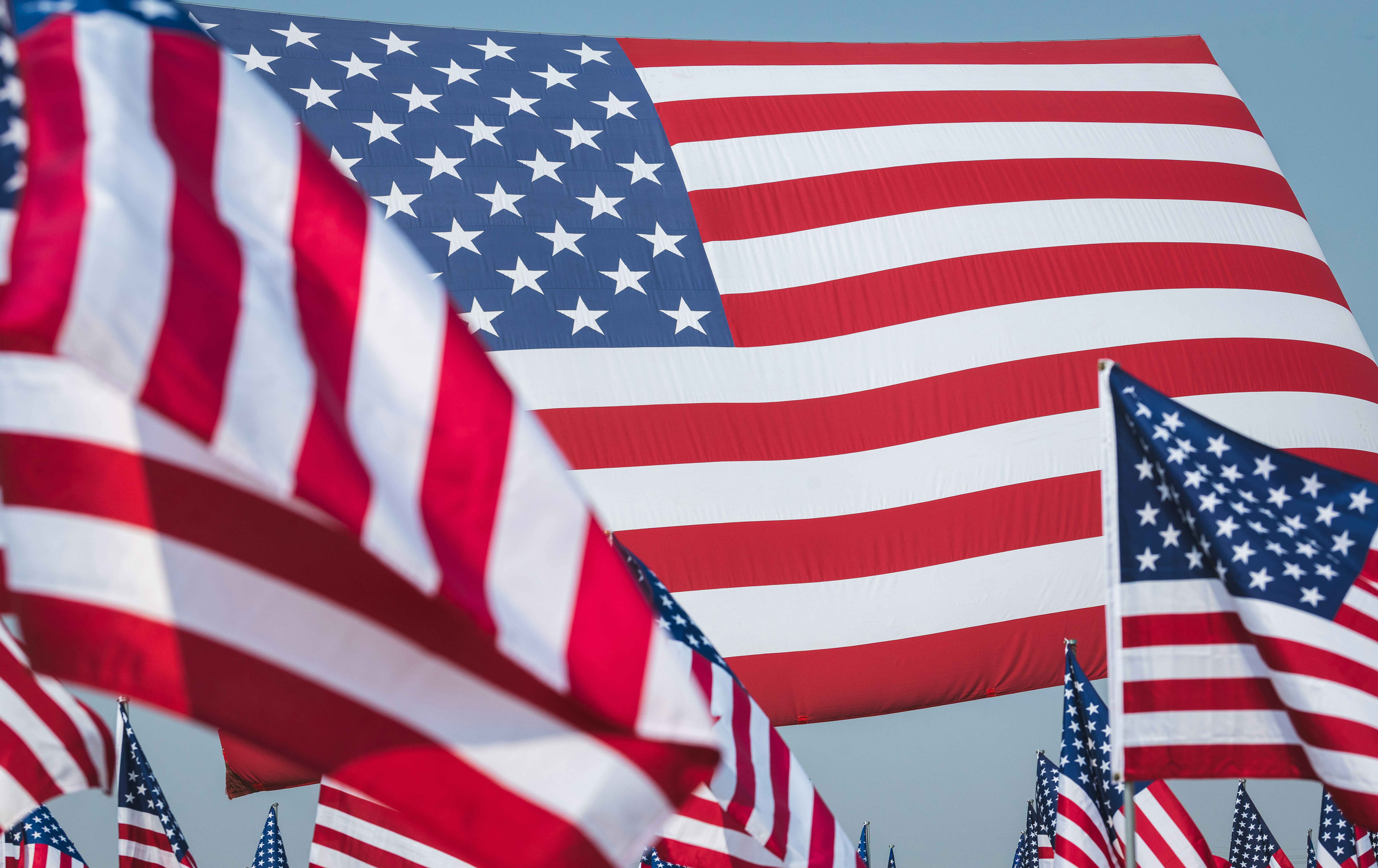 Rows of Red, White, and Blue: Flags in a Stately Field