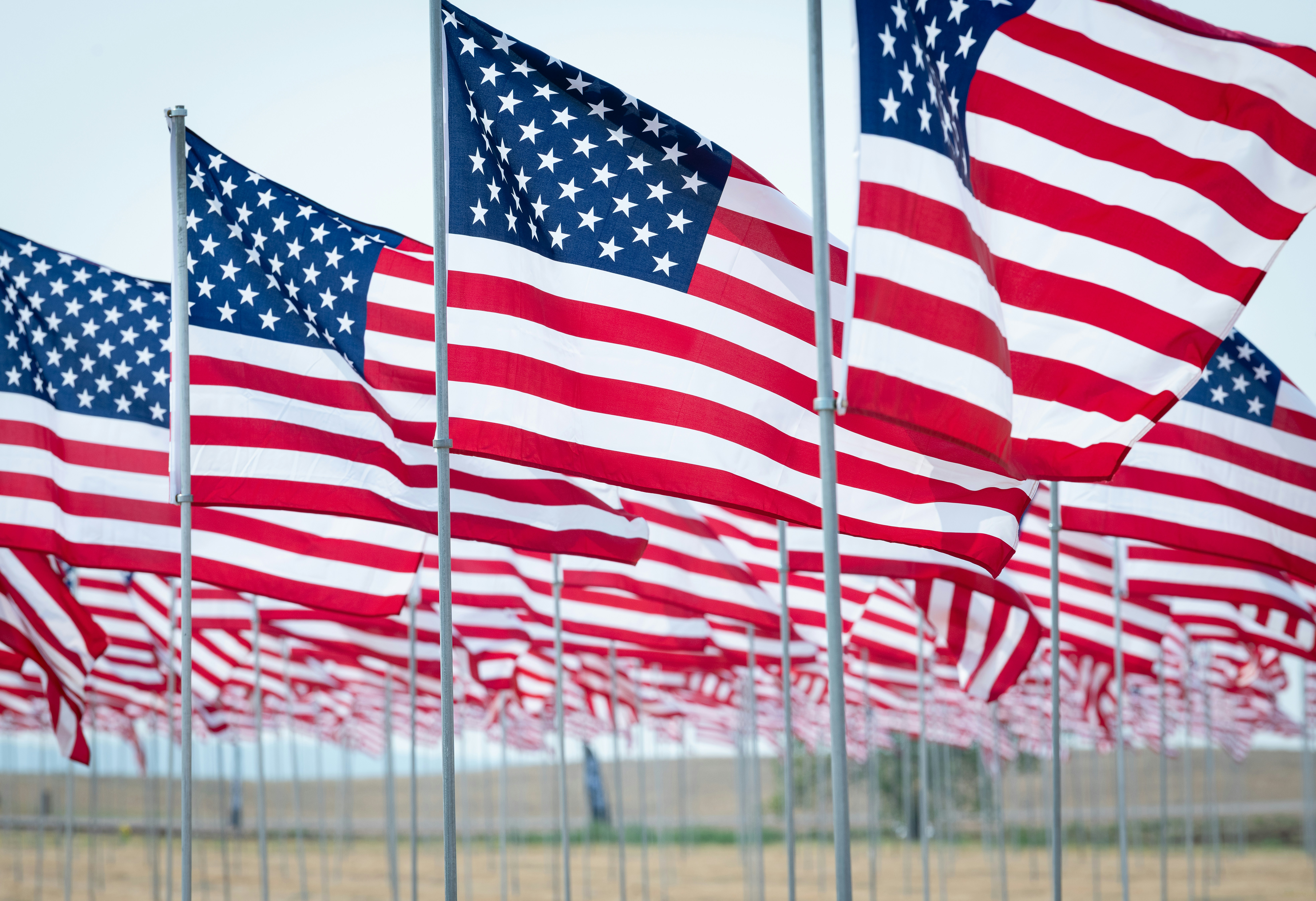 Field of Flags: A Row of American Flags Rippling Under a Clear Sky