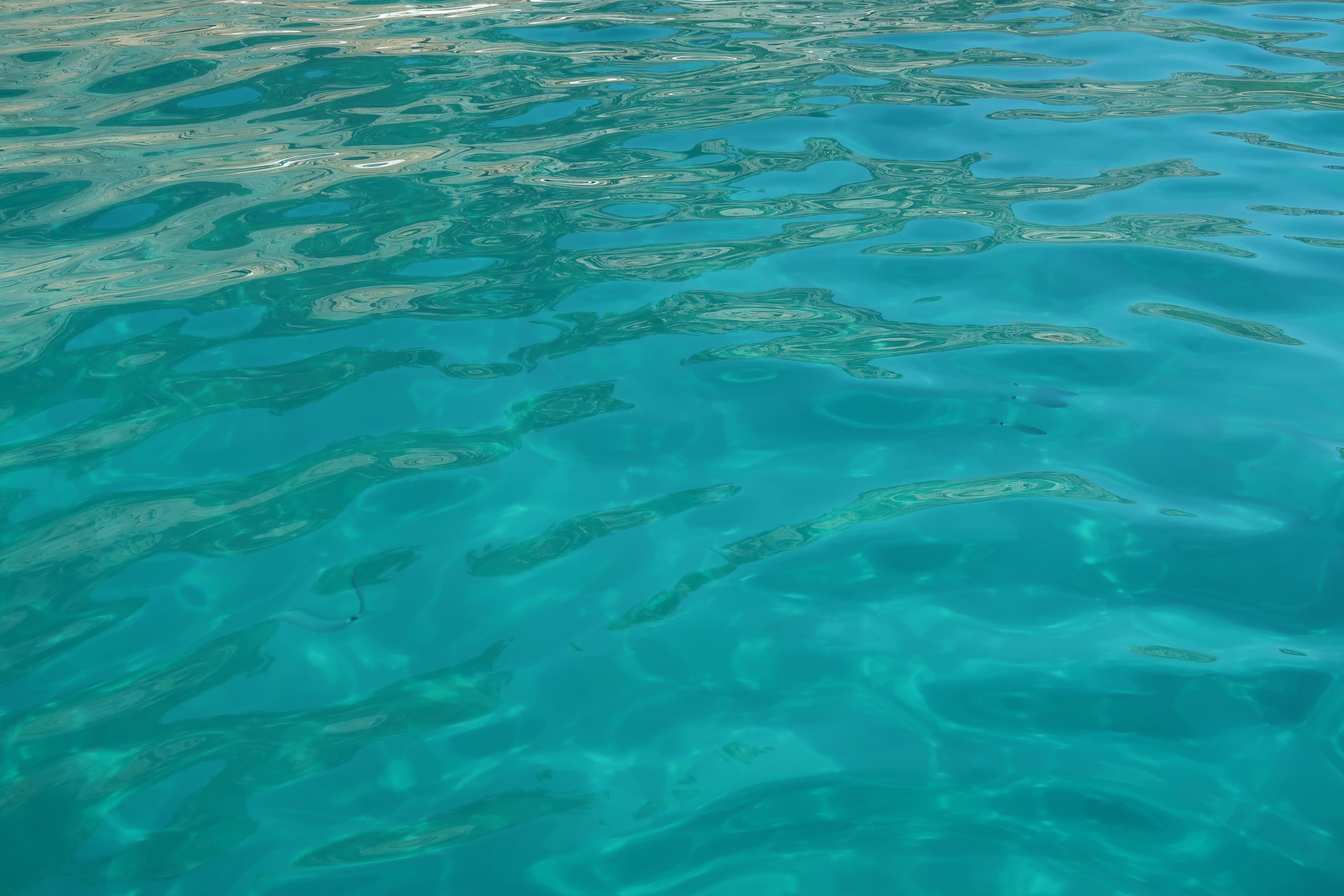Emerald Ripples: Sunlit Ocean Surface in Calm Light