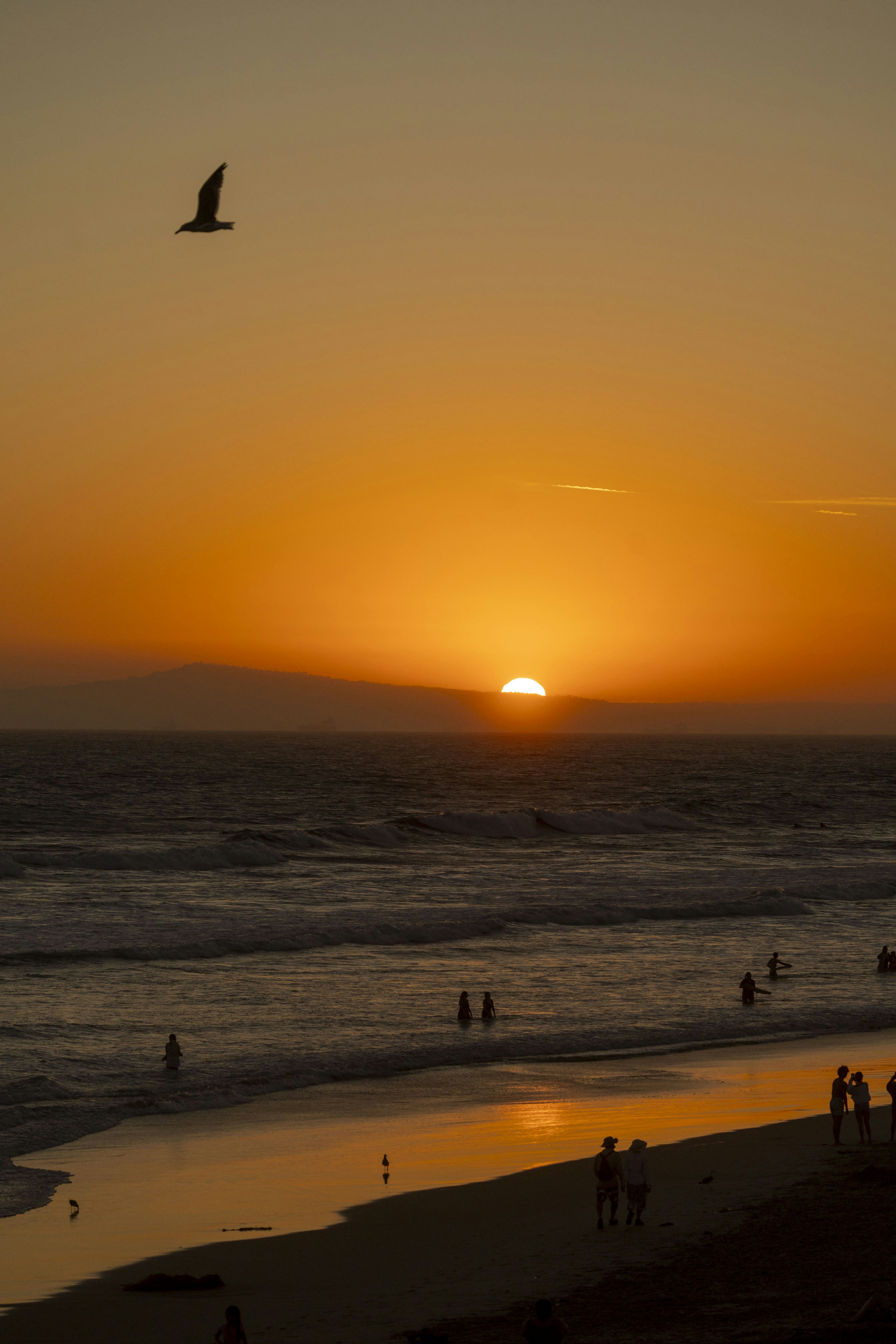 Sunset Flight: A Seabreeze over Quiet Shore