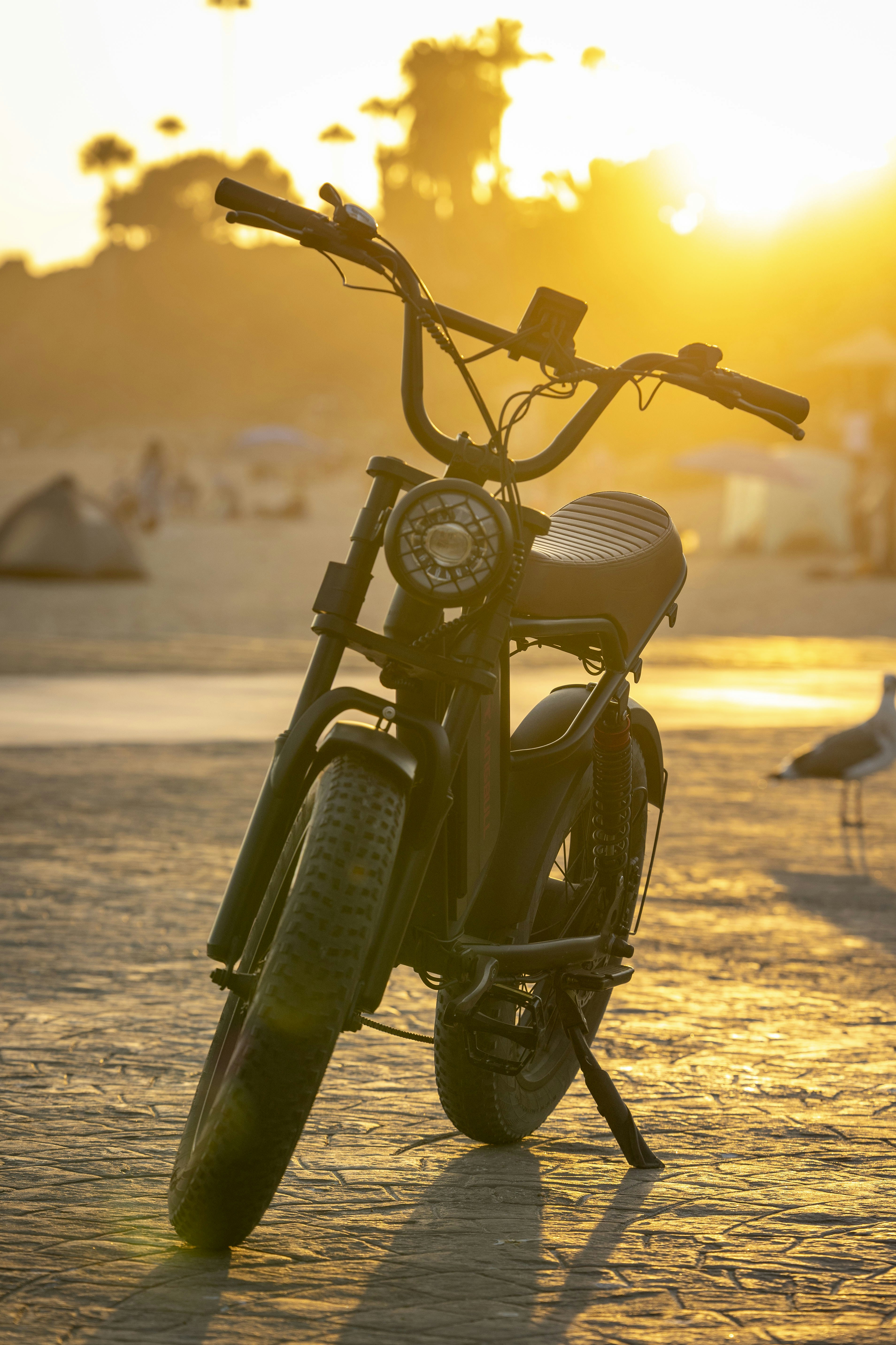 Sunlit Stance: A Vintage Bike Signaling Golden Hour Quiet