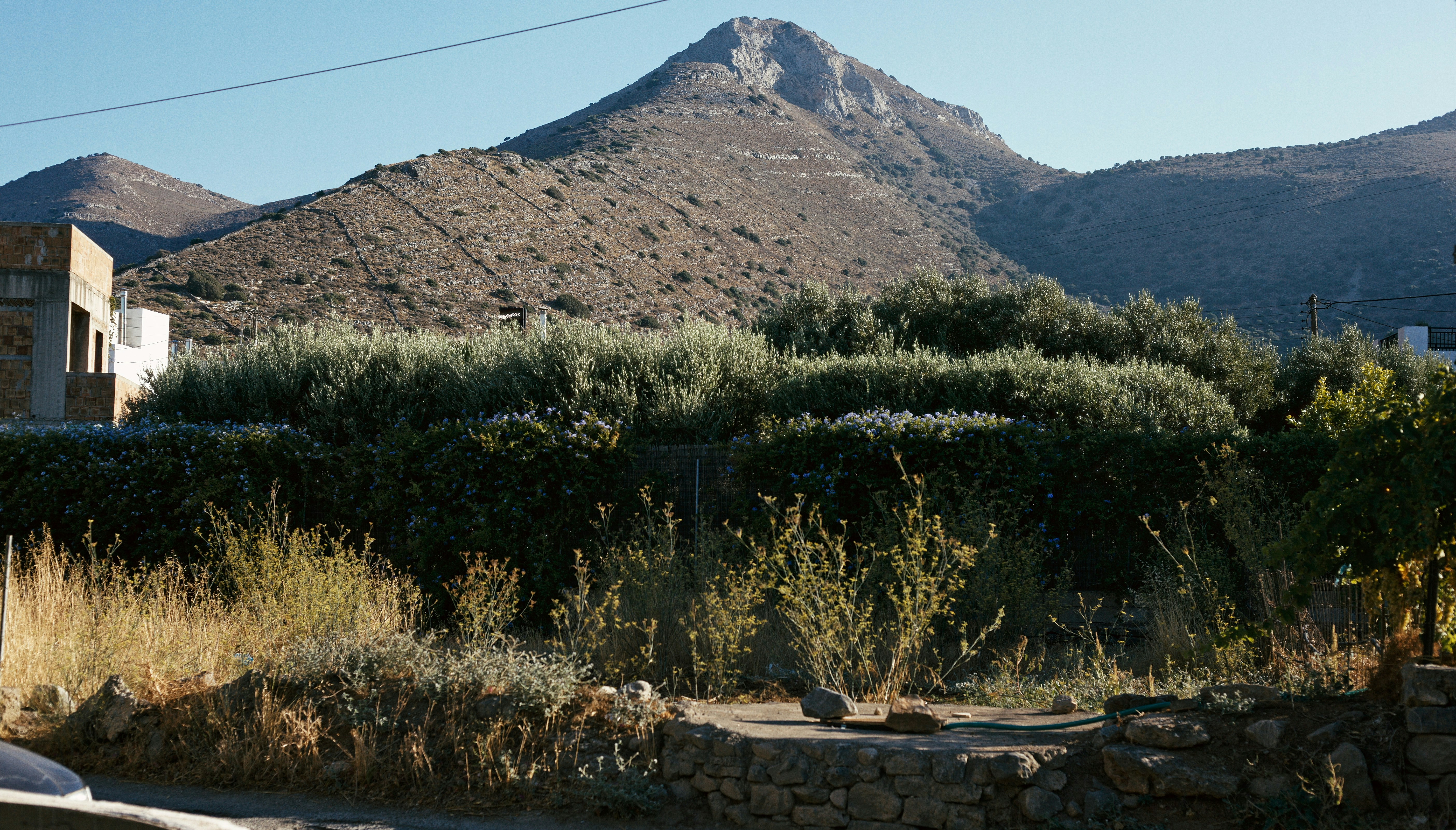 Sunlit Hillscape Beyond a Quiet Oasis