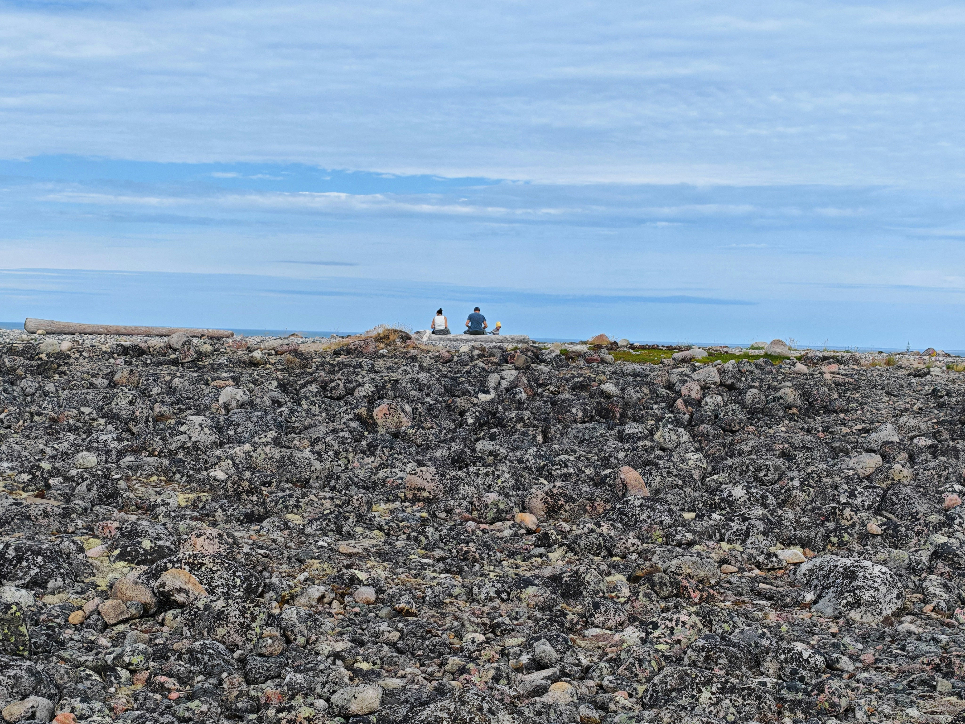 Quiet observers on the rocky shore under a pale blue sky