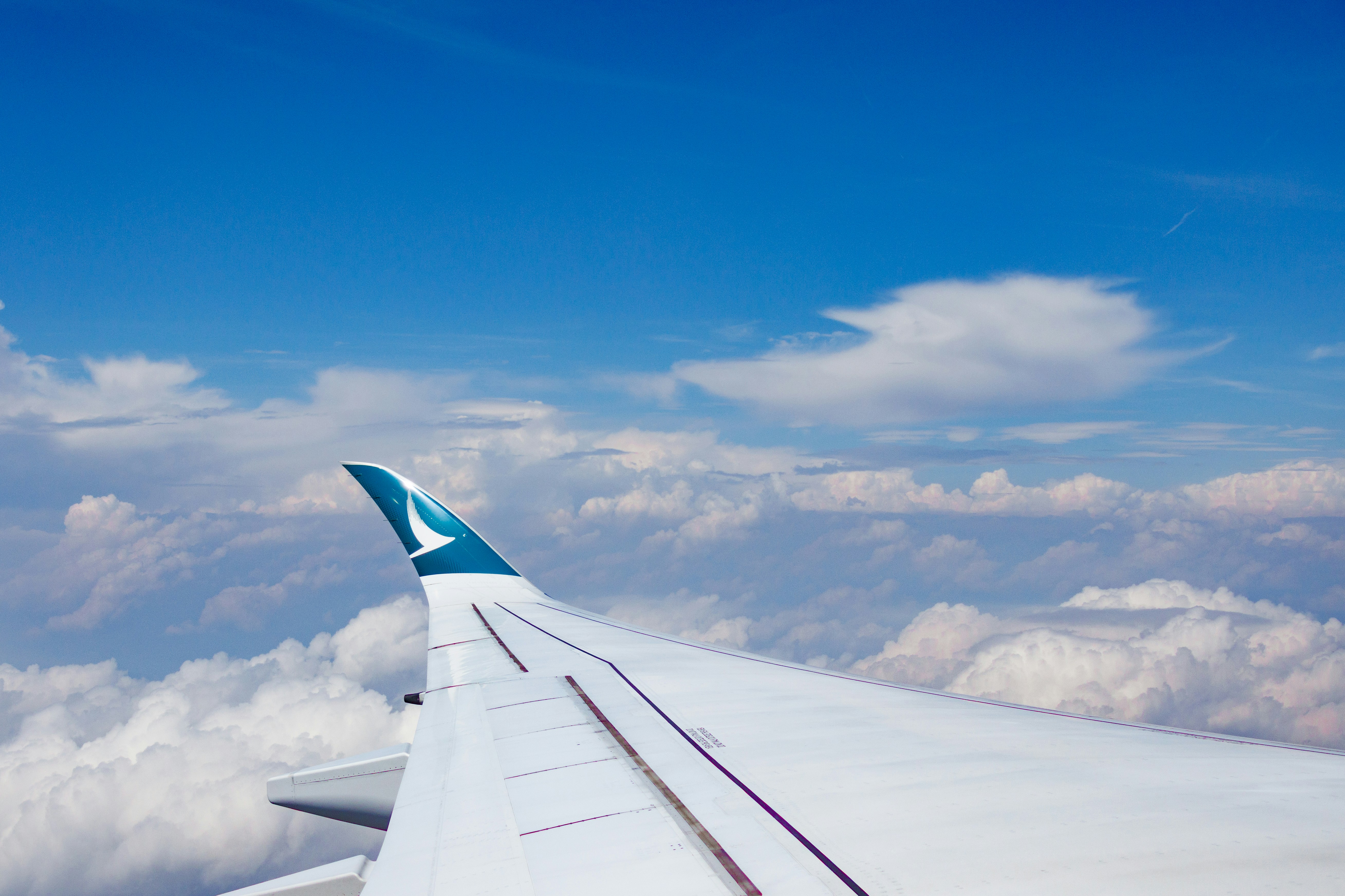 Above the Clouds: Wingtip toward the Horizon