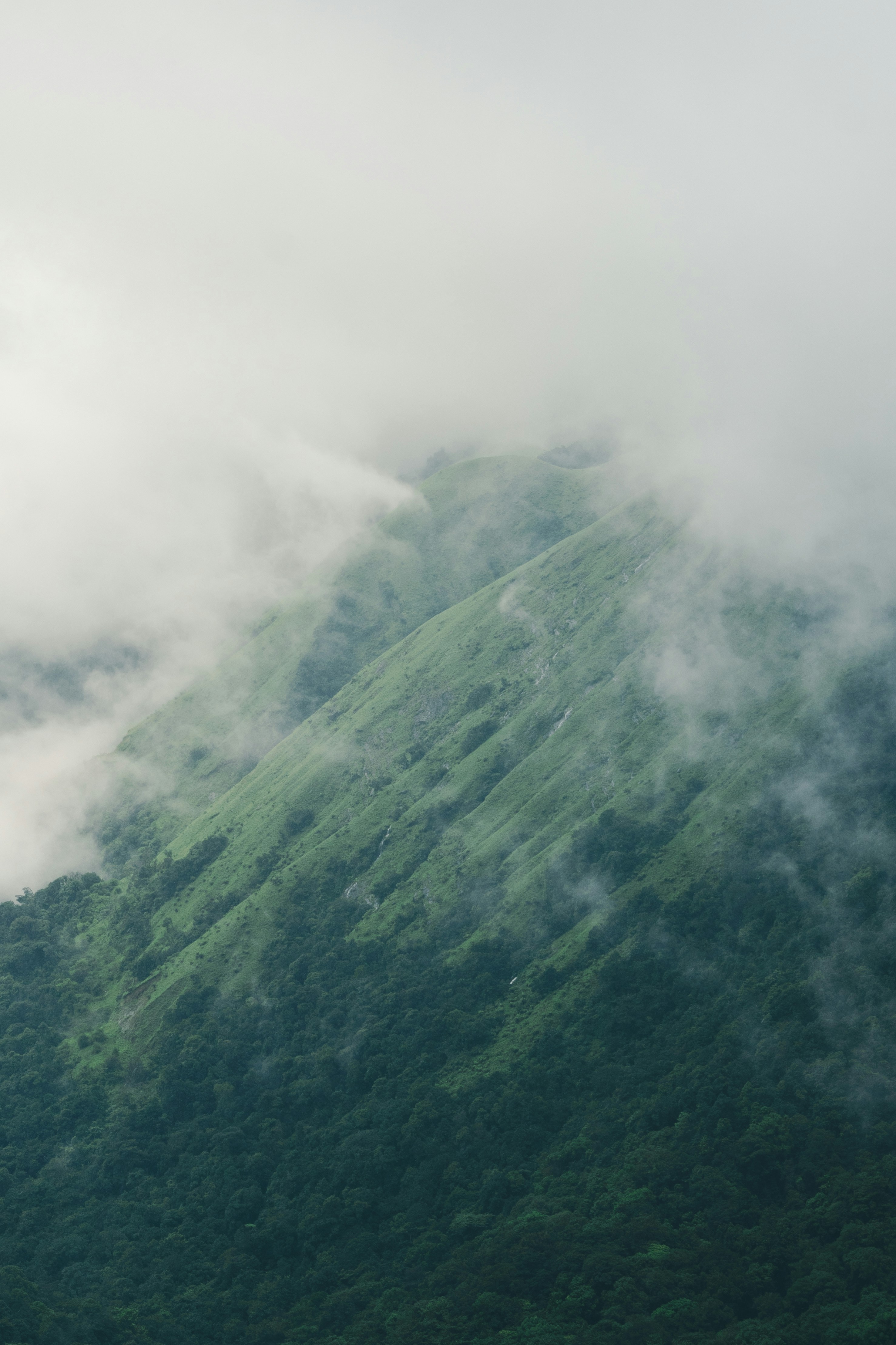 Mist-Wedged Ridge: A Green Slope Emerging Through Clouds