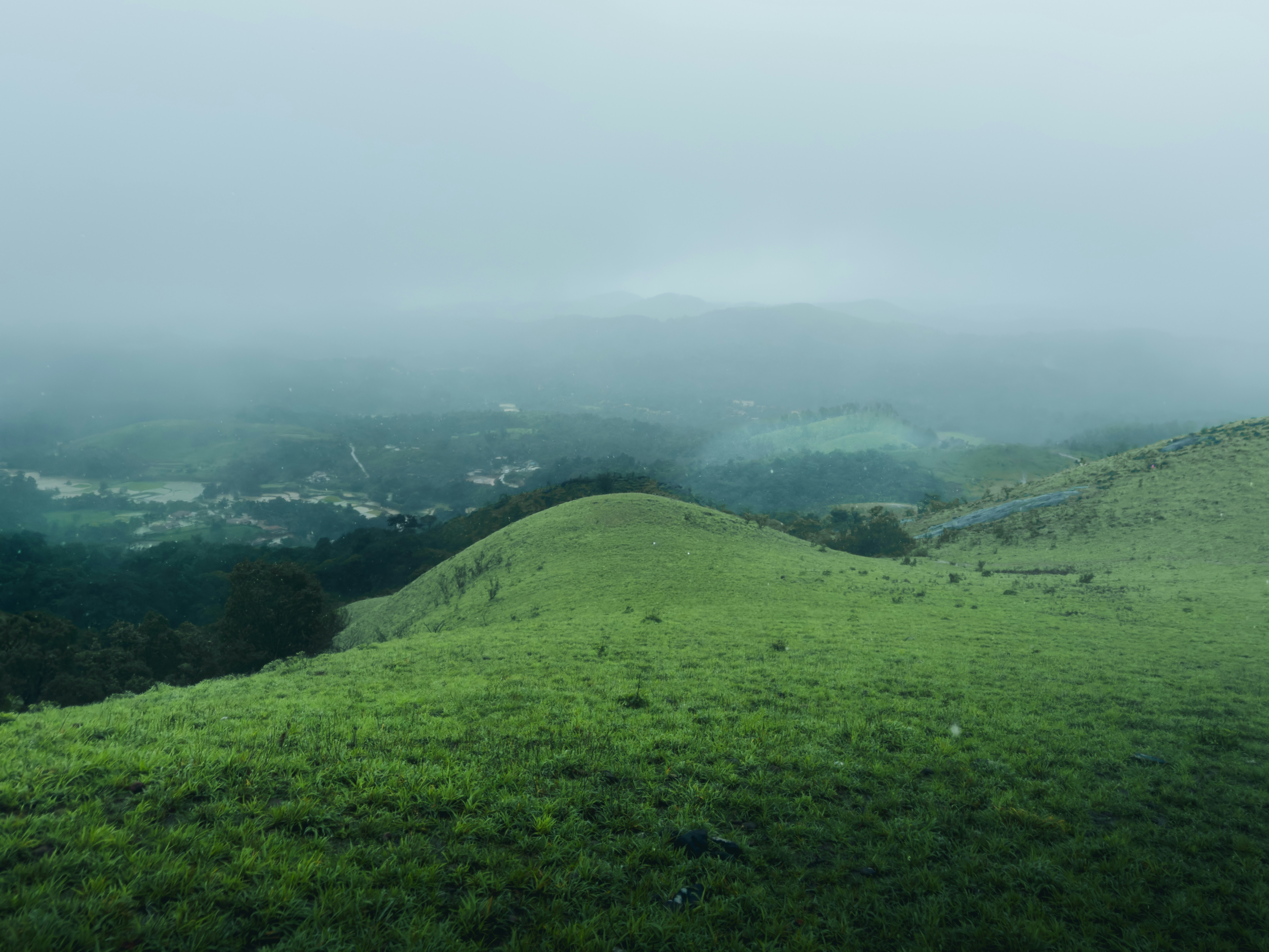 Mist over the Emerald Hills