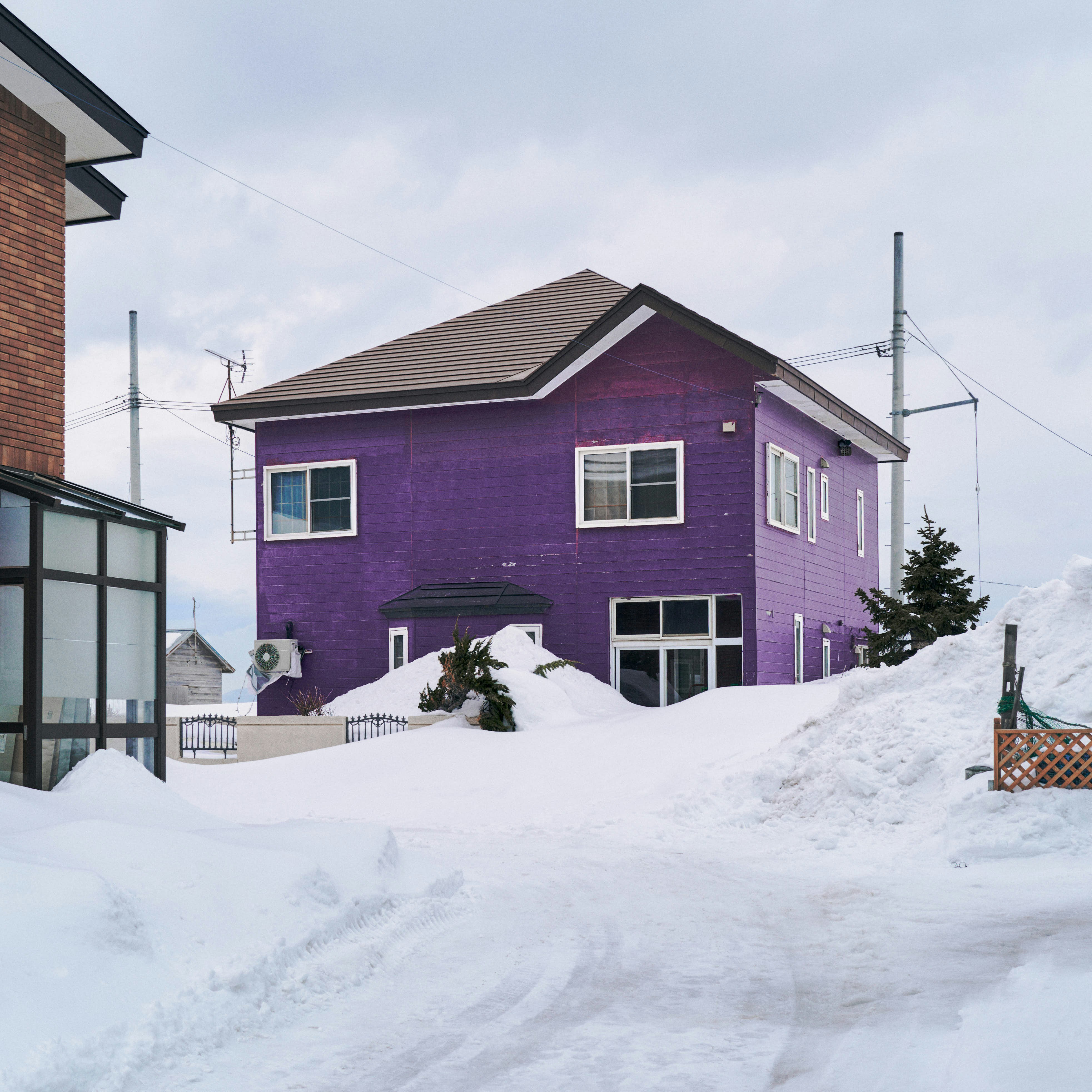 Purple House in a Snowbound Street