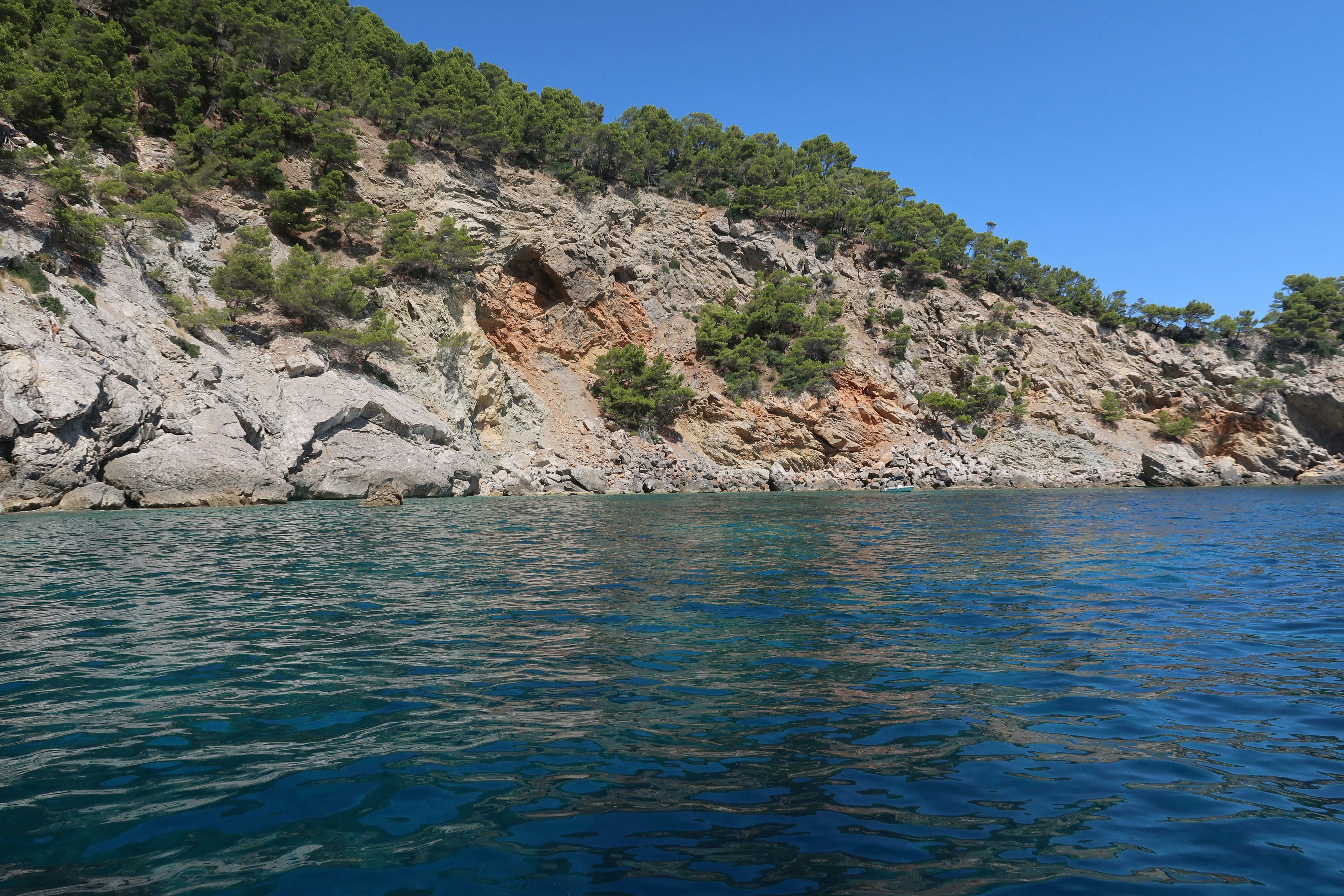 Sunlit coastline over teal waters: rugged cliffs and pine-studded rock