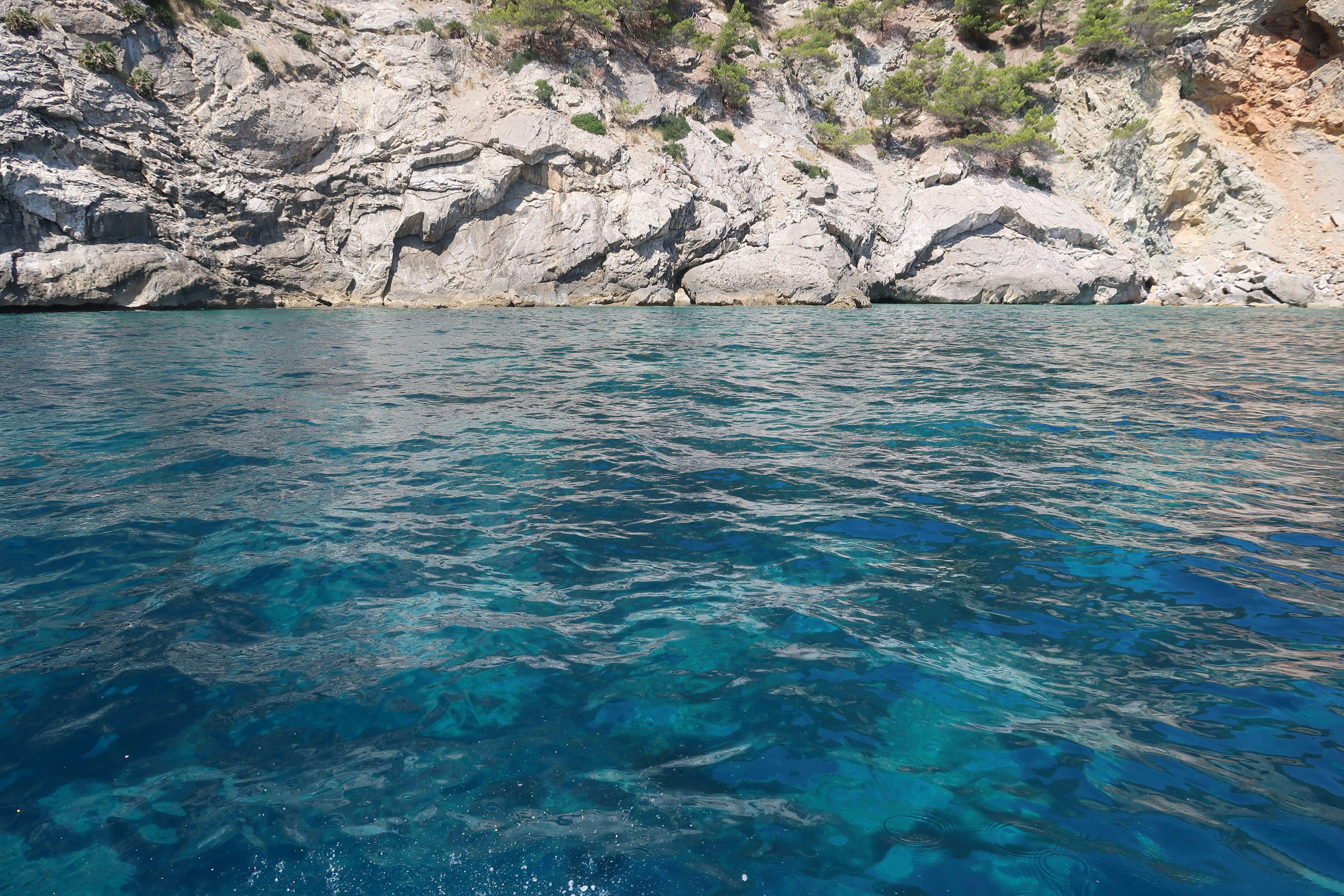 Blue Mirror: Sunlit Sea Meets Cliff Edge