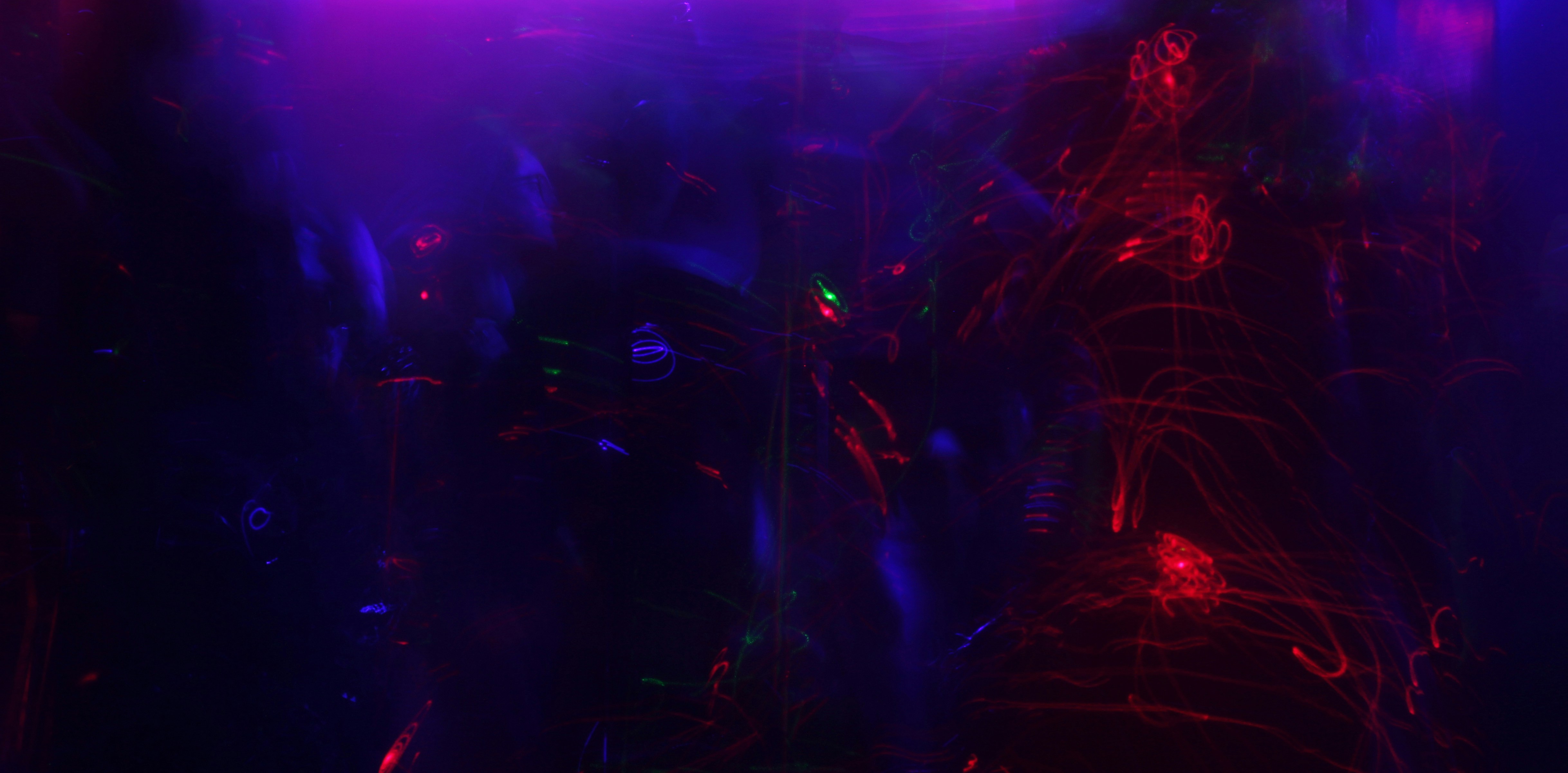 Glowing Echoes in a Dark Aquarium of Ambient Light