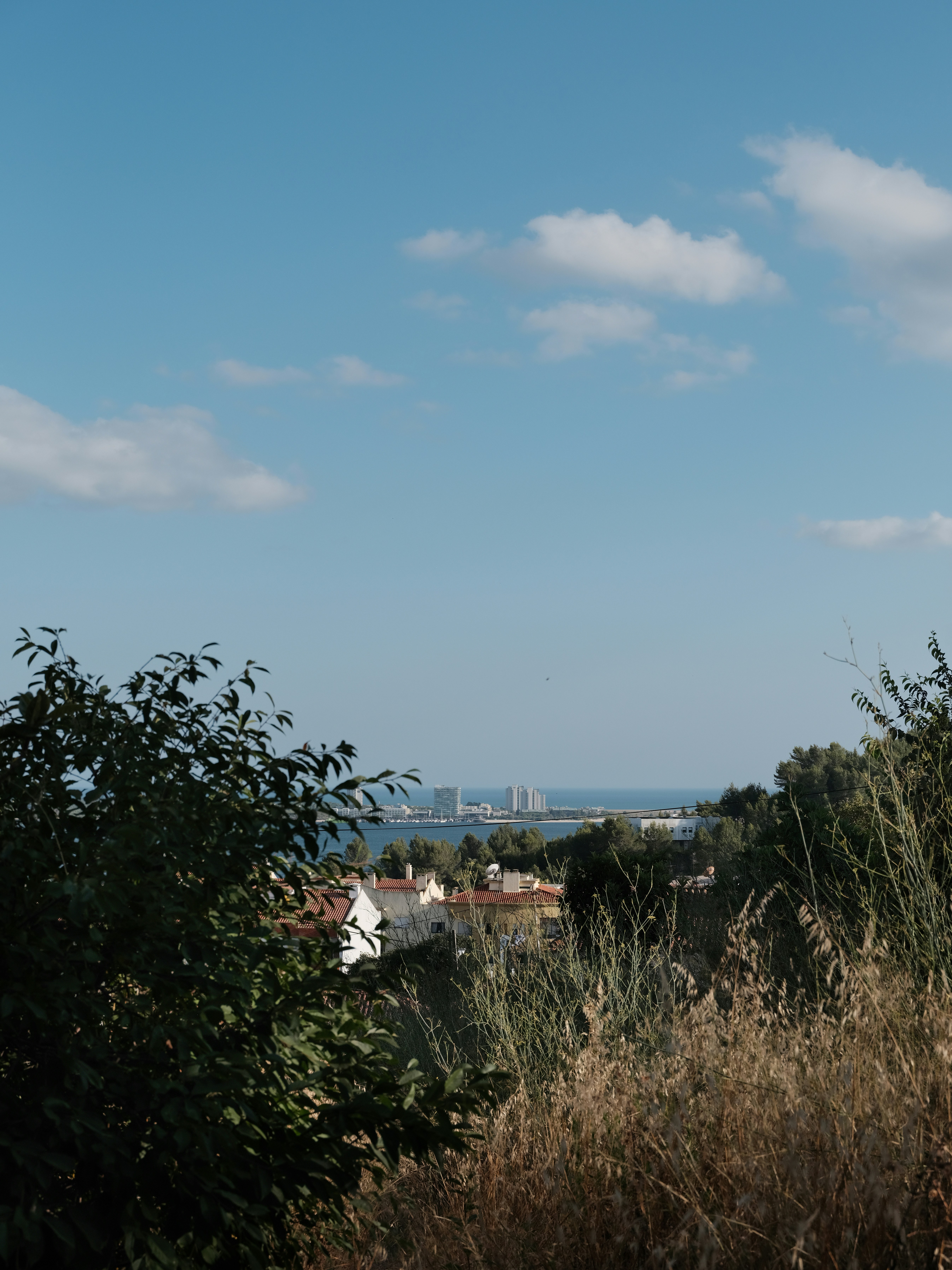 Horizon of Quiet Dunes: Suburban Edge Beneath a Wide Blue Sky
