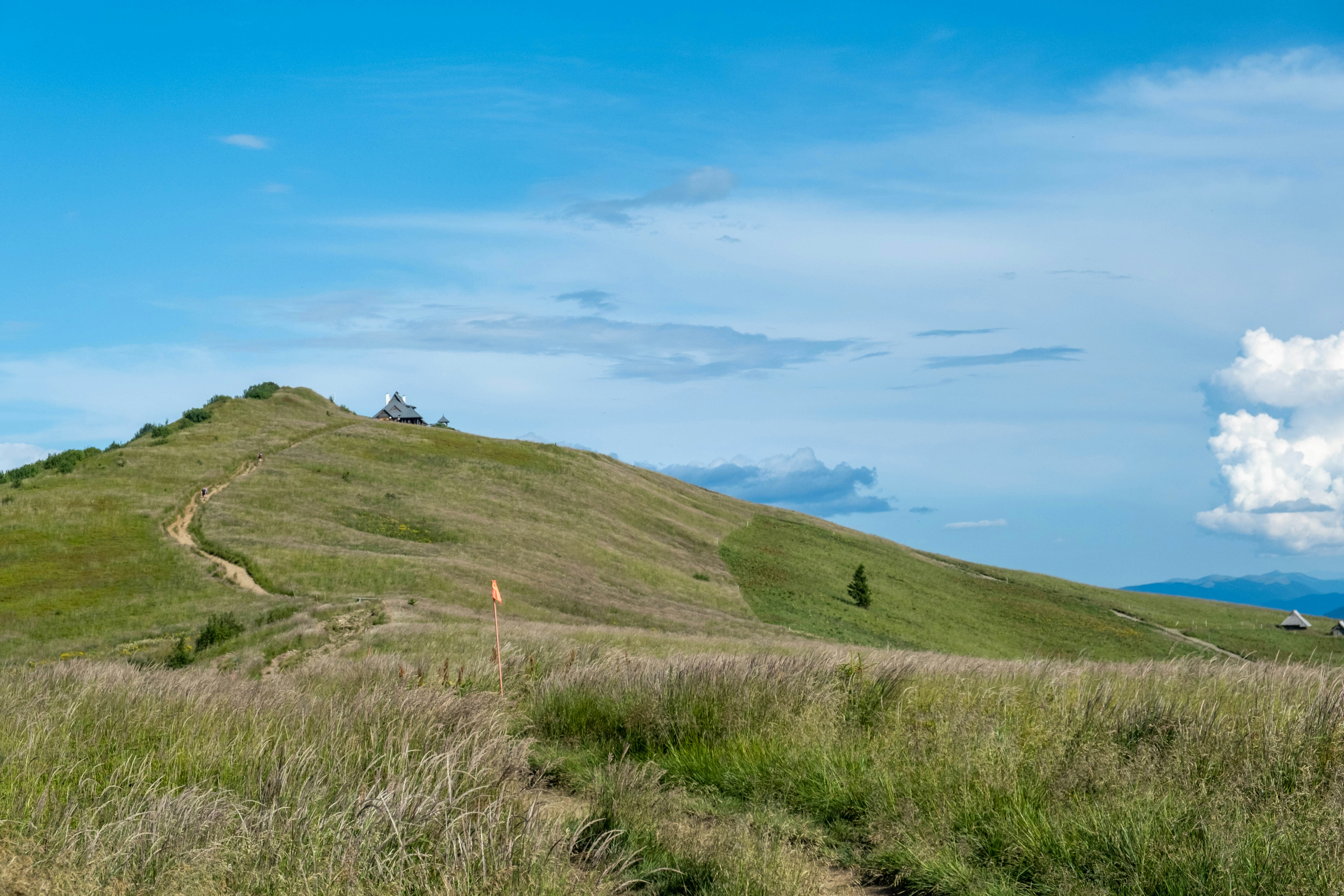 Horizon Path to the Summit