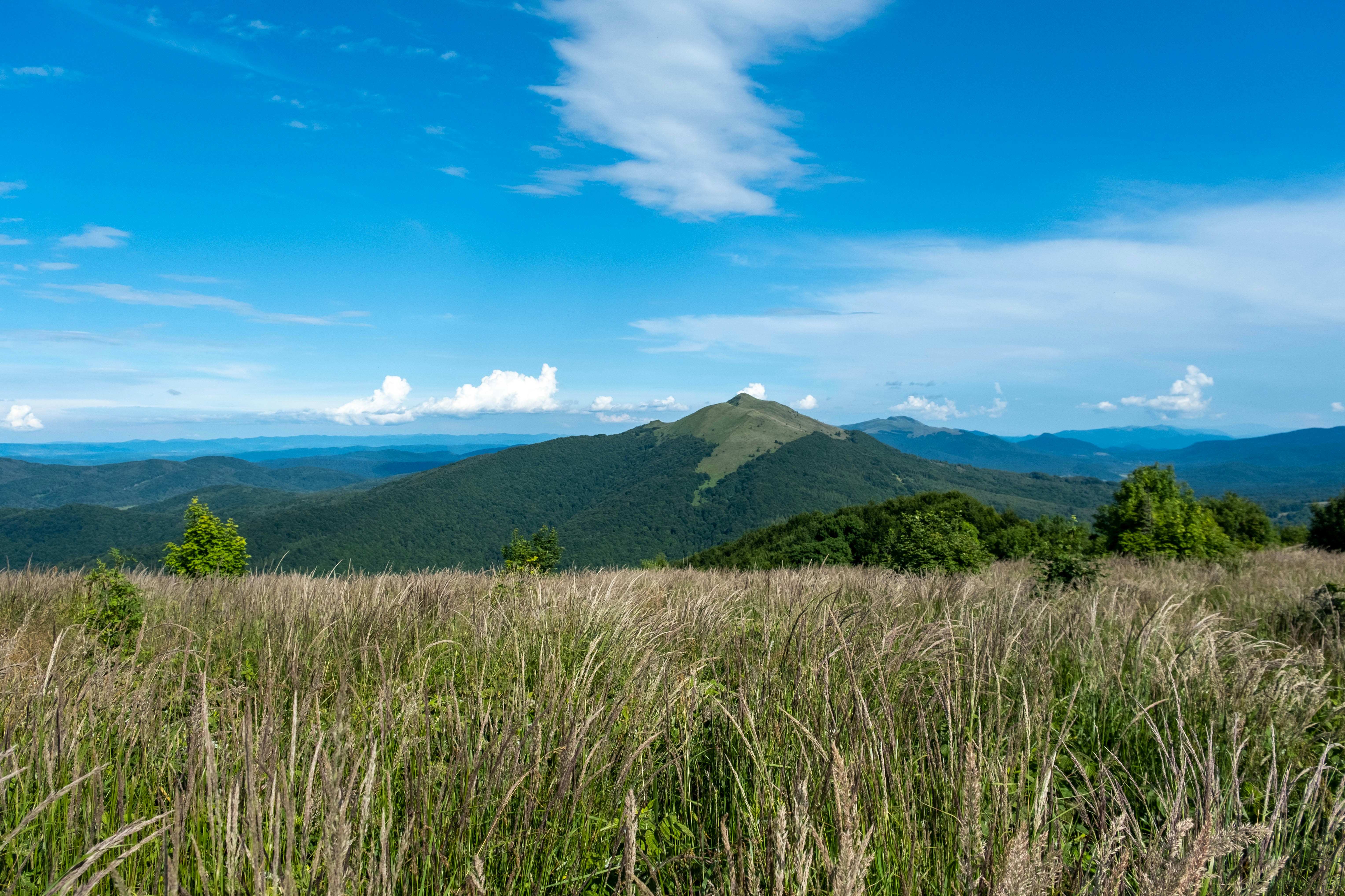 Hilltop Panorama Under A Wide Blue Sky