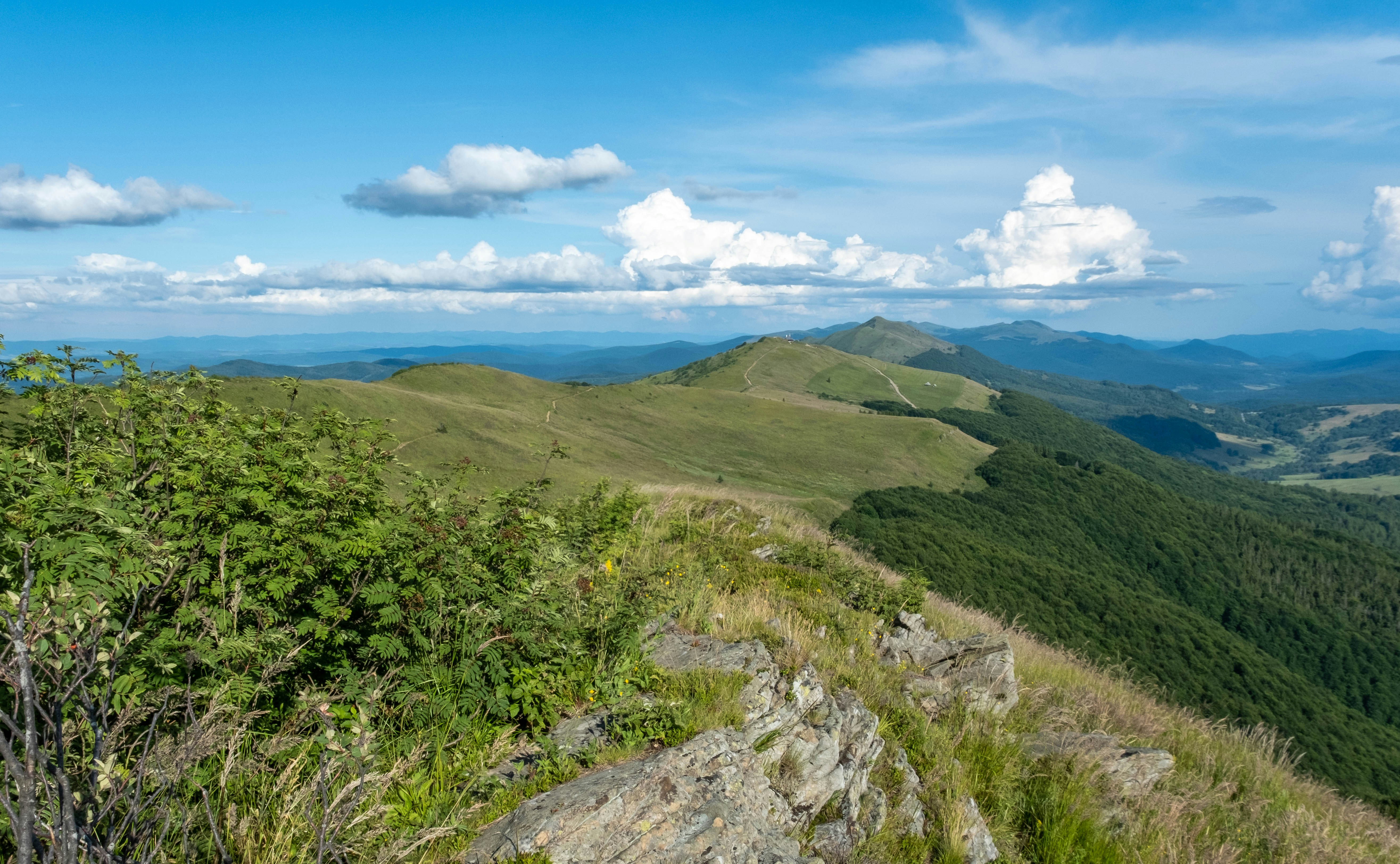 Highland Crest: Rolling Ridges Beneath a Clear Sky