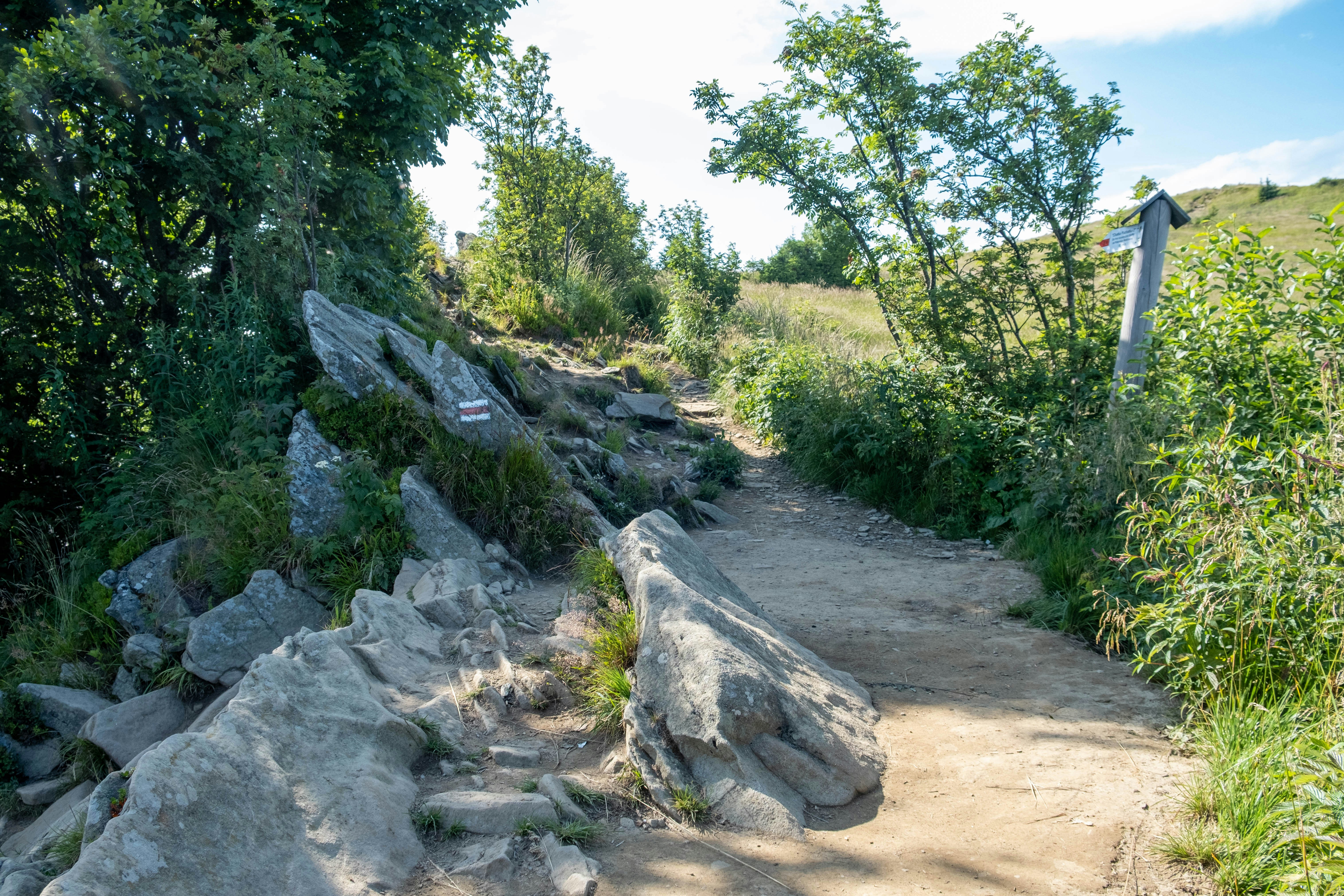 Rugged Trail Through Sunlit Quarry and Greenery