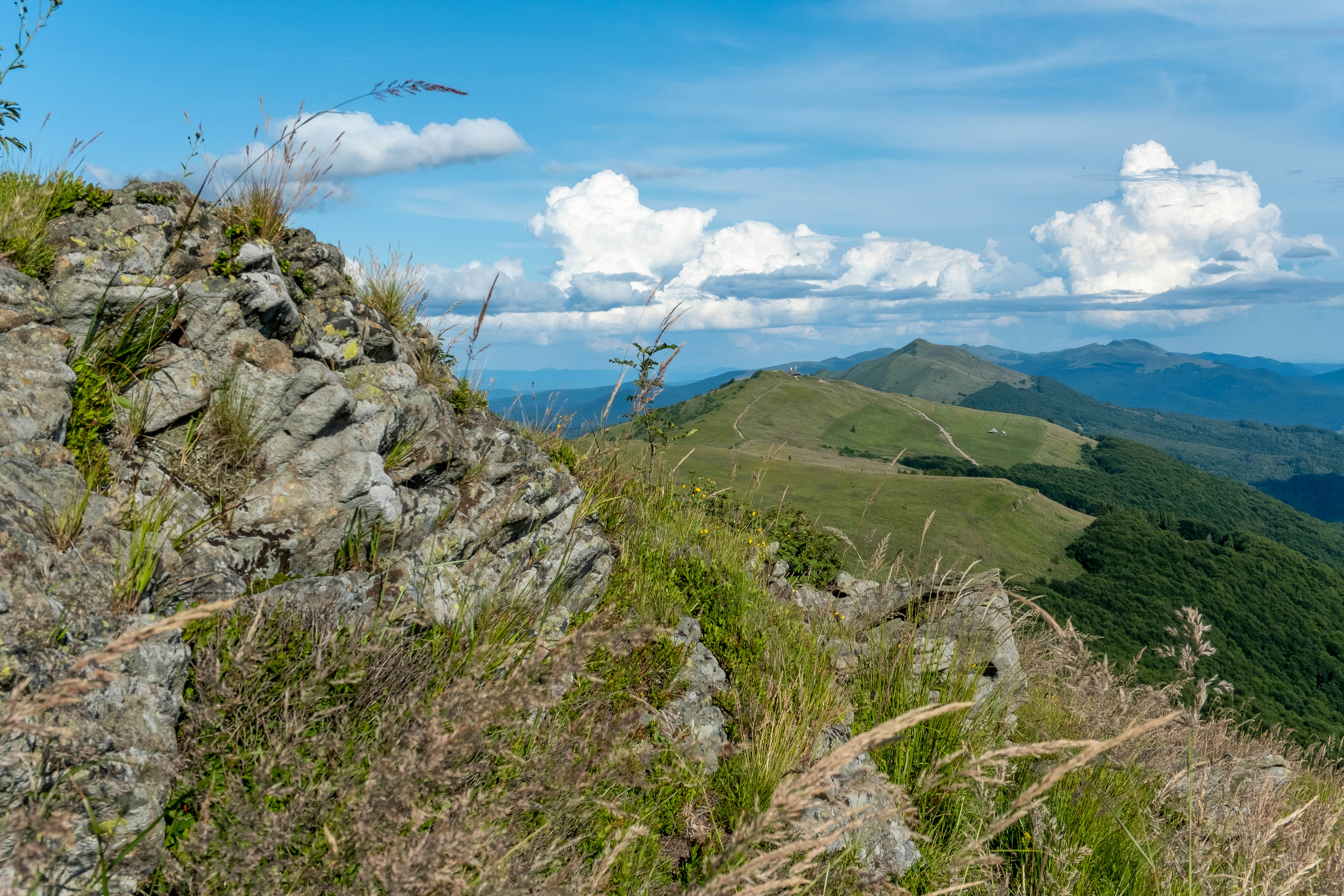 Cliffside Ridge: A Panorama Over Rolling Green Hills