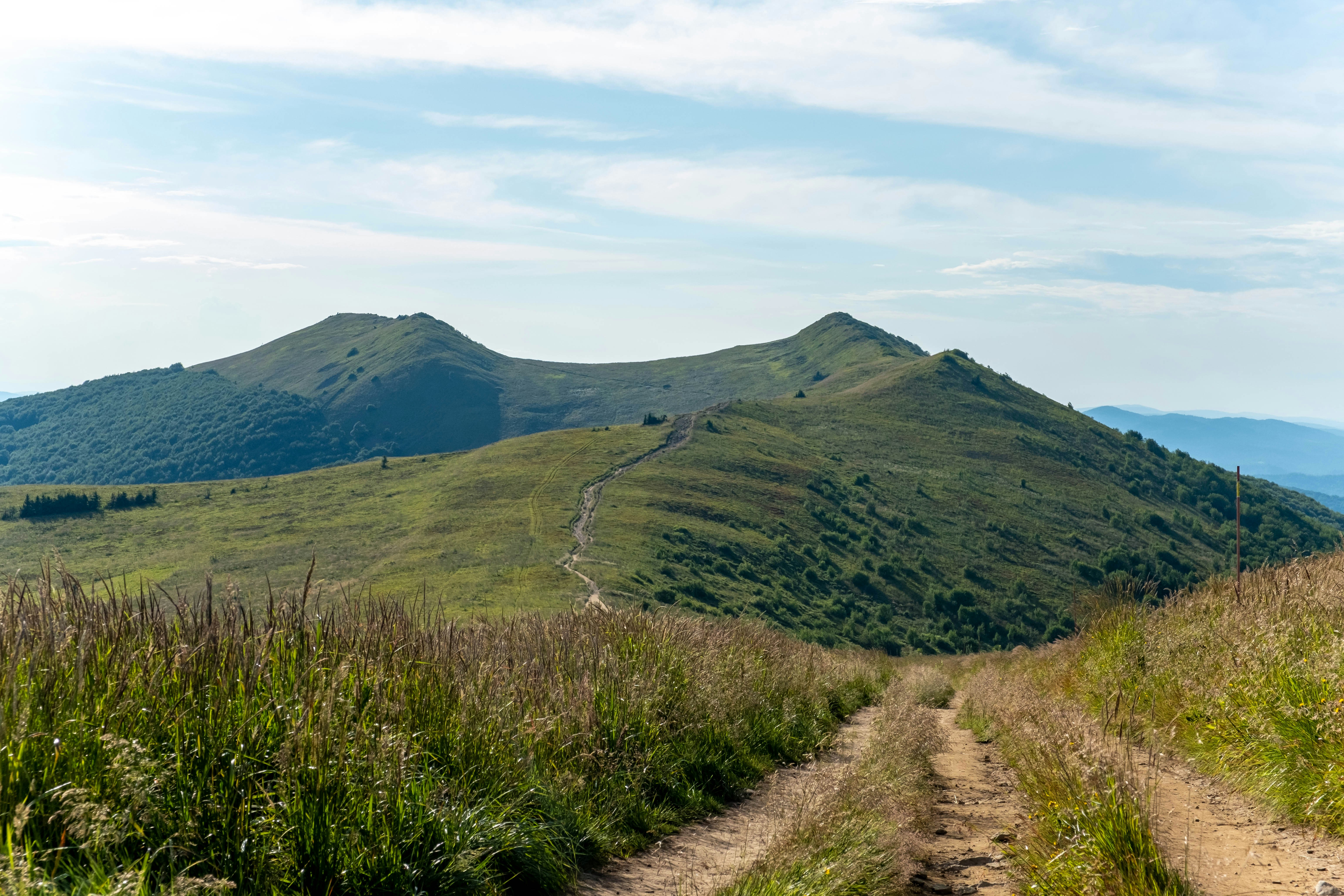 Trail Toward the Twin Peaks