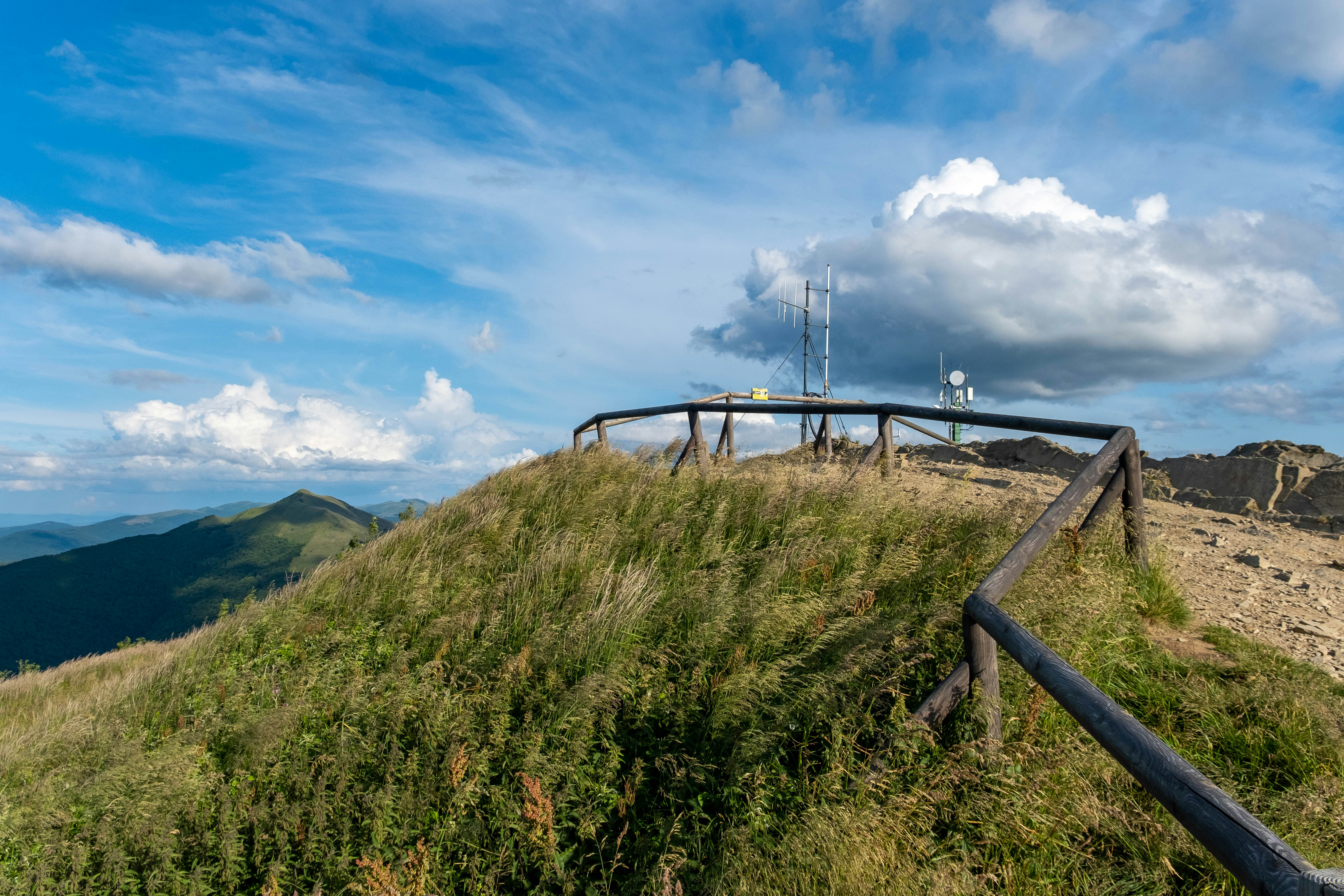 Clifftop Trail Framed by Grass and Guardrail