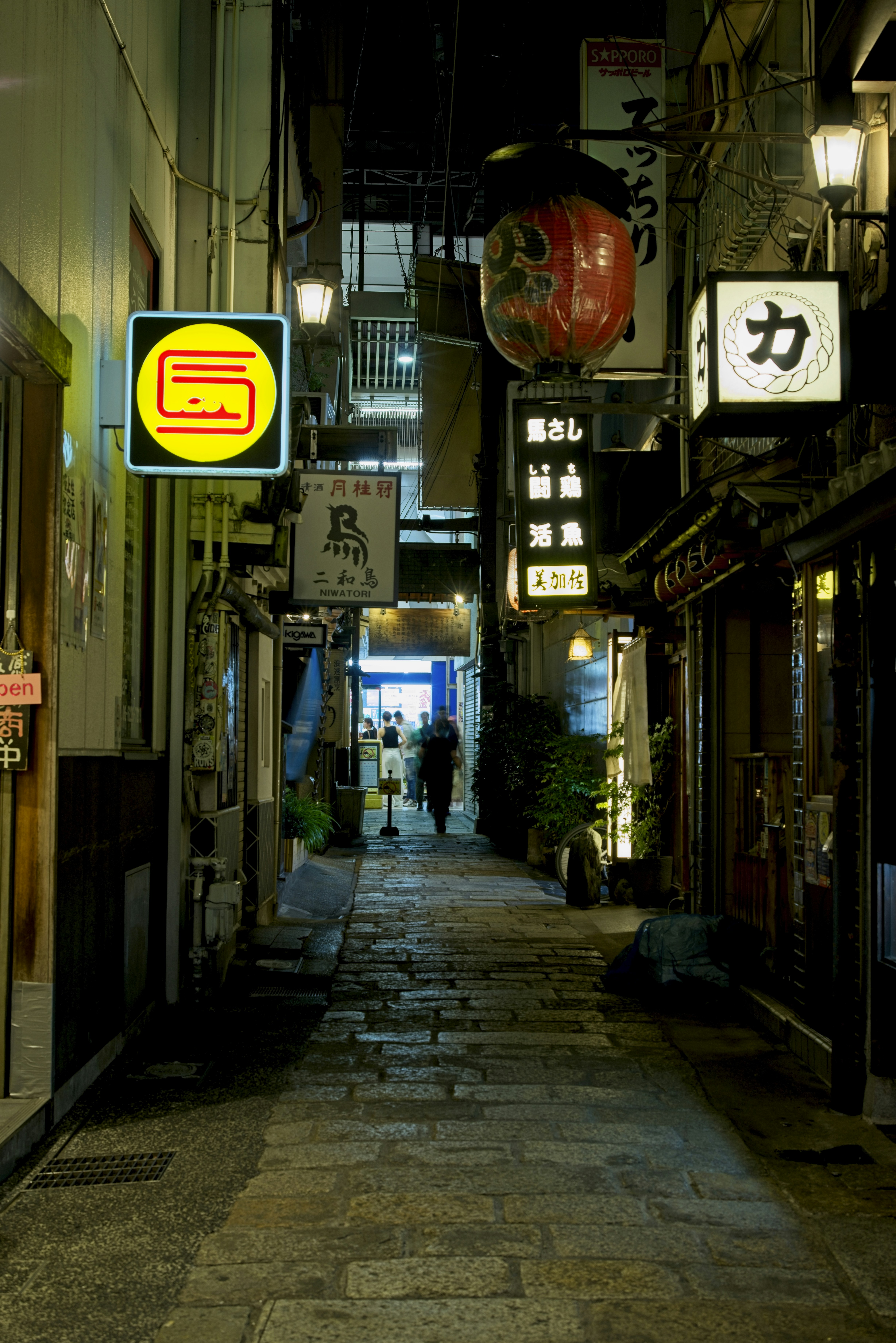 A narrow, atmospheric alley glows with illuminated Japanese signage — a red paper lantern, a yellow train logo, and glowing kanji boards advertising horse sashimi and fresh fish — lining both sides of the cobblestone passage. A couple strolls into the dim depths of the lane, silhouetted against distant light. Traditional lanterns and pipework hang overhead, capturing the intimate, lived-in character of Osaka's backstreet izakaya district. This quiet nighttime scene offers a moody contrast to Dotonbori's louder daytime crowds.
