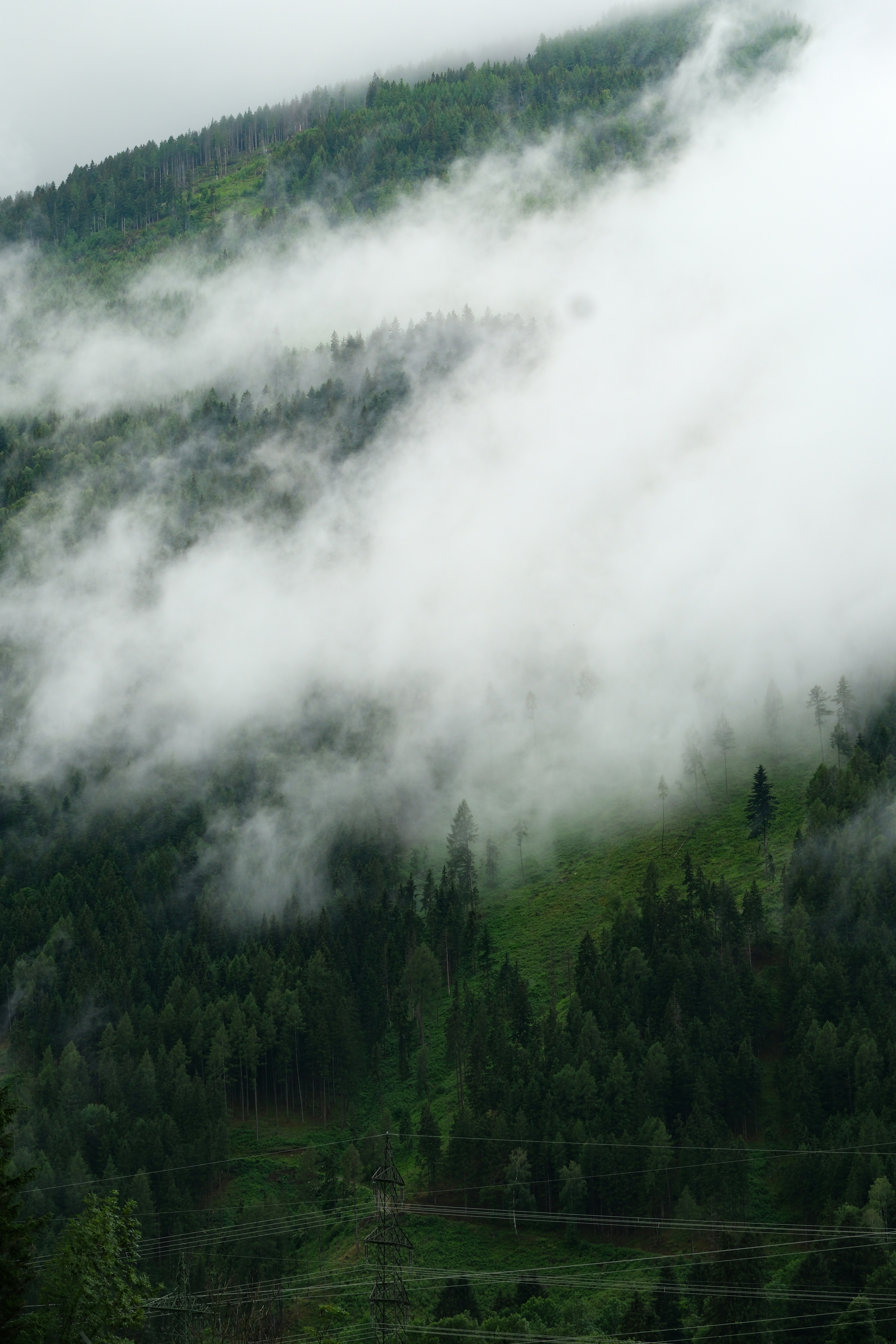 Mist-Clad Crest: Green Ridge Hovered by Clouds