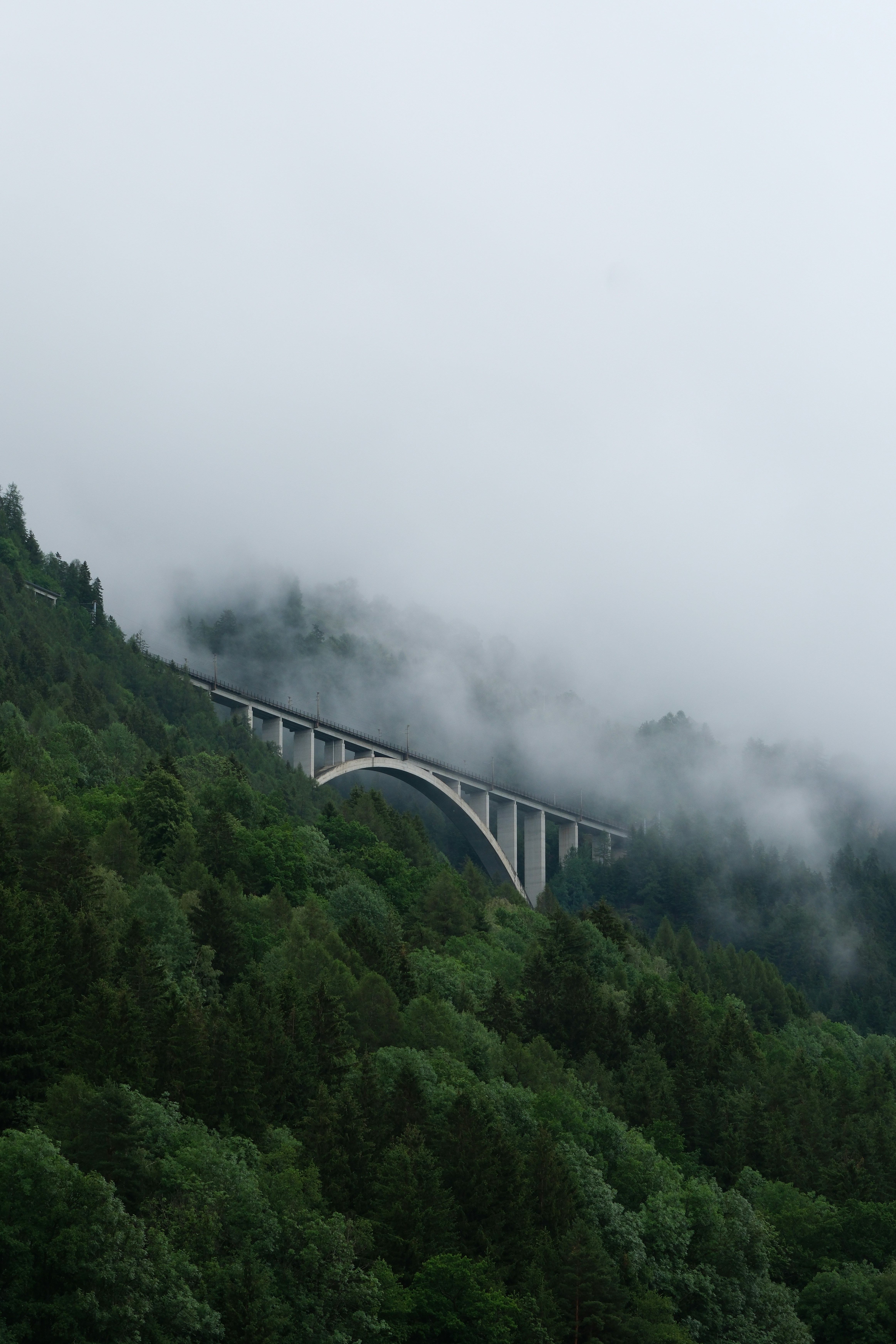 Mist-Wedged Arc: A Forested Viaduct Emerges from the Clouds