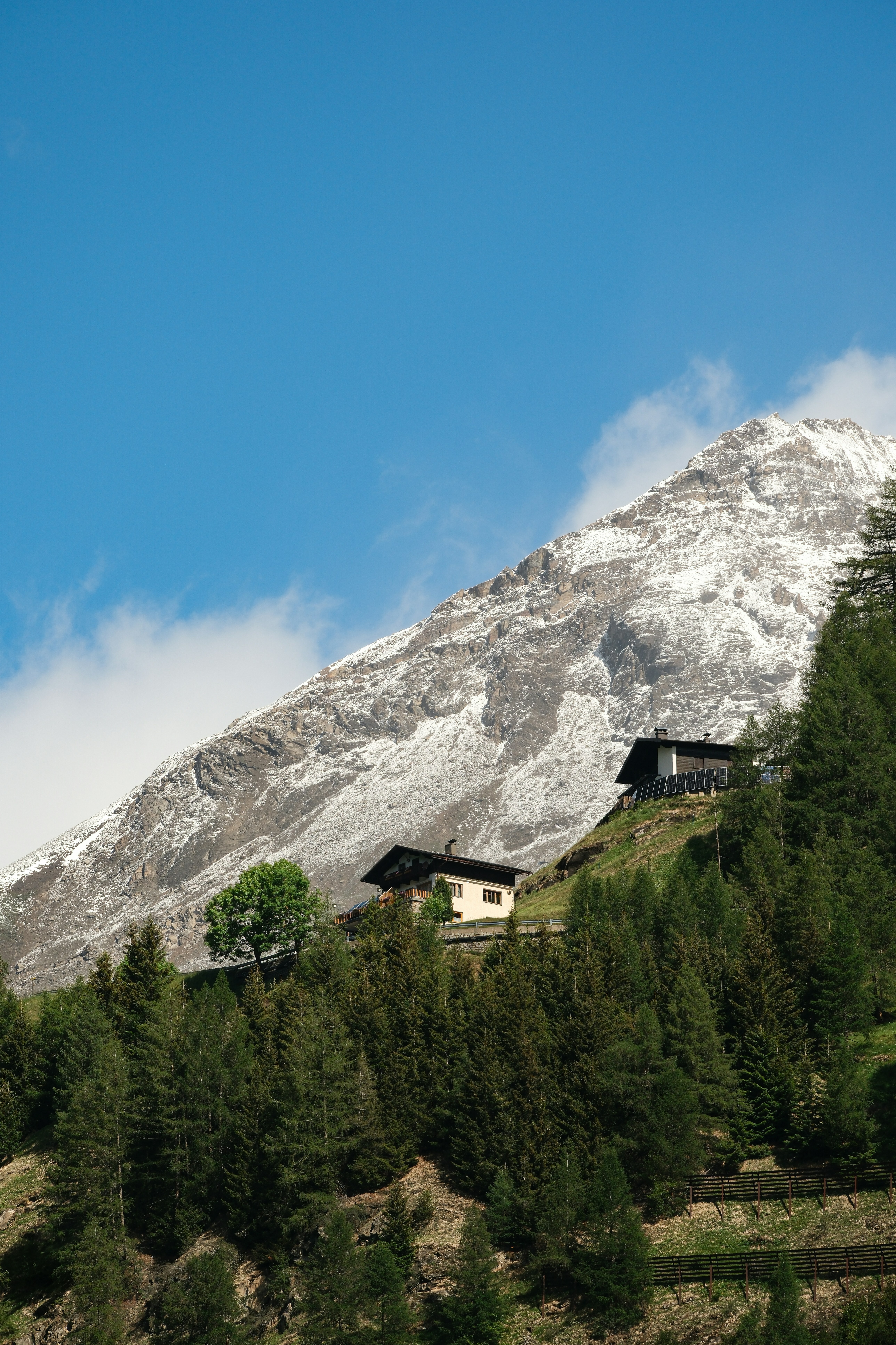 Snow-Capped Ridge Lodge Nestled Among Pines
